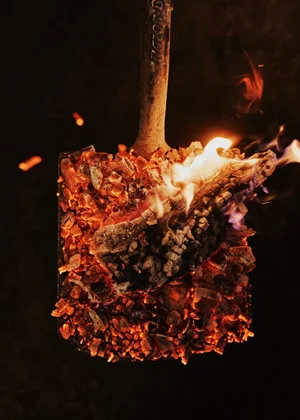 Life of Fire | Discover & Savor Now — Explore BBQ Traditions — Martin’s ...