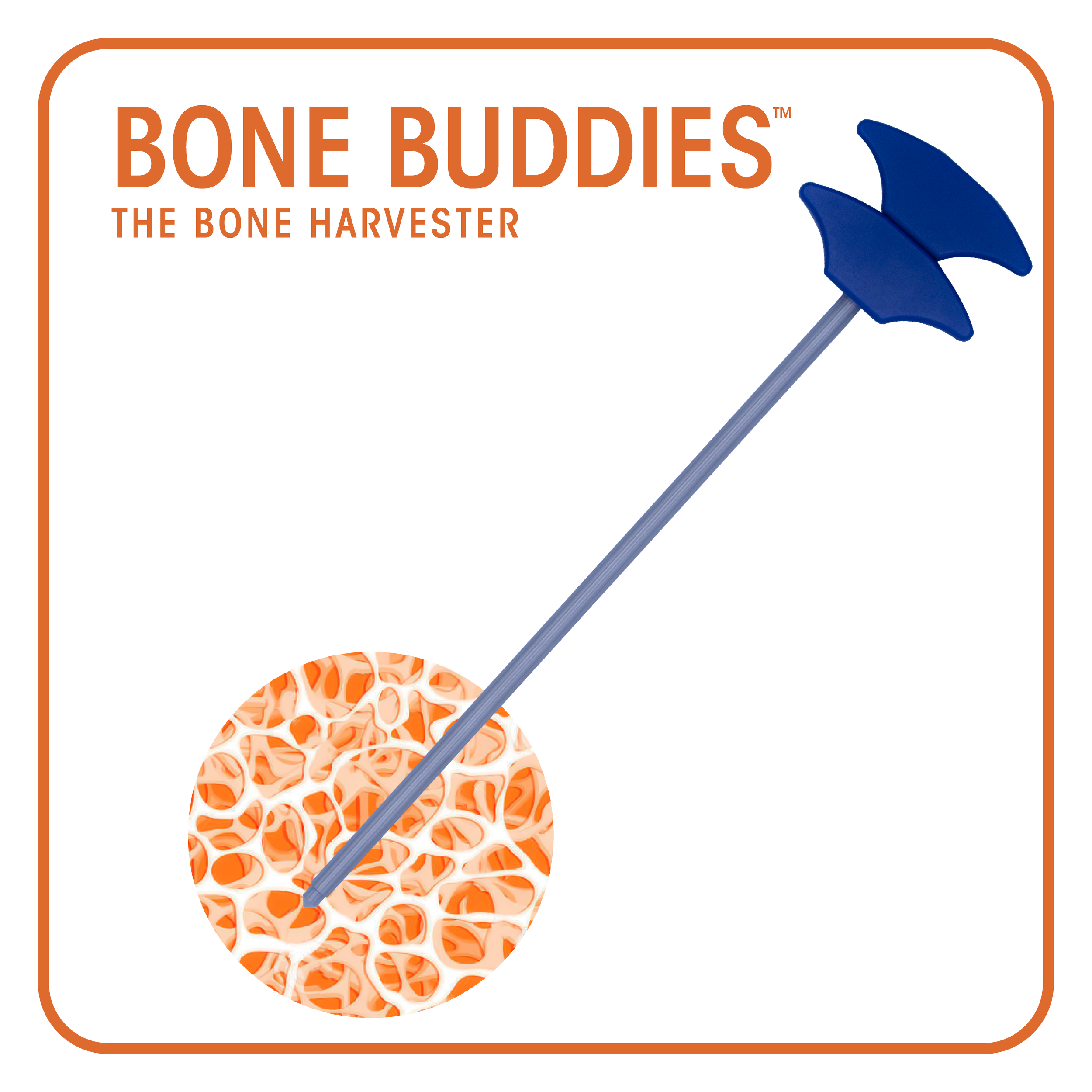 Products A-Z — Camber Spine Med Tech