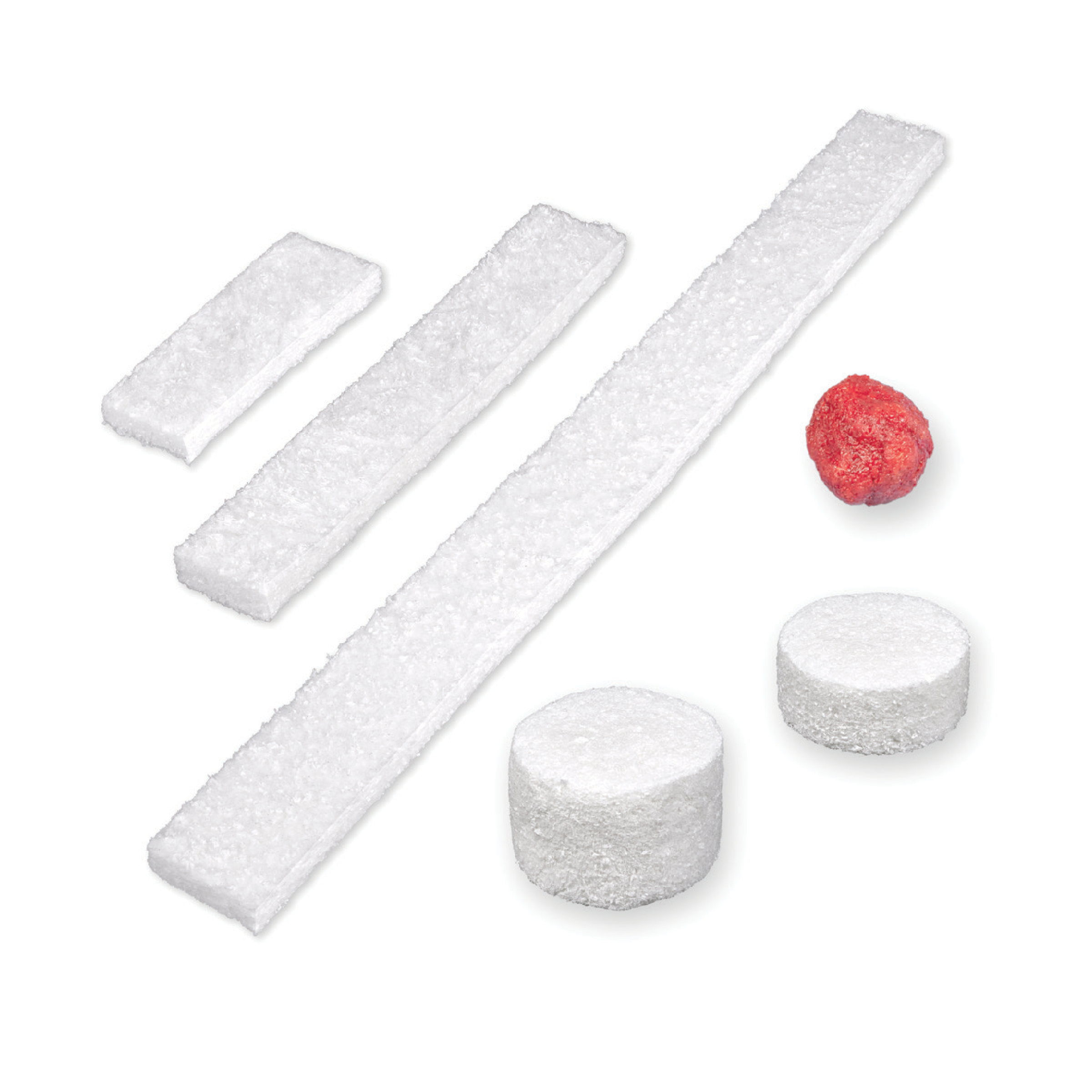 BIA-GEN Orthobiologics — Camber Spine Med Tech