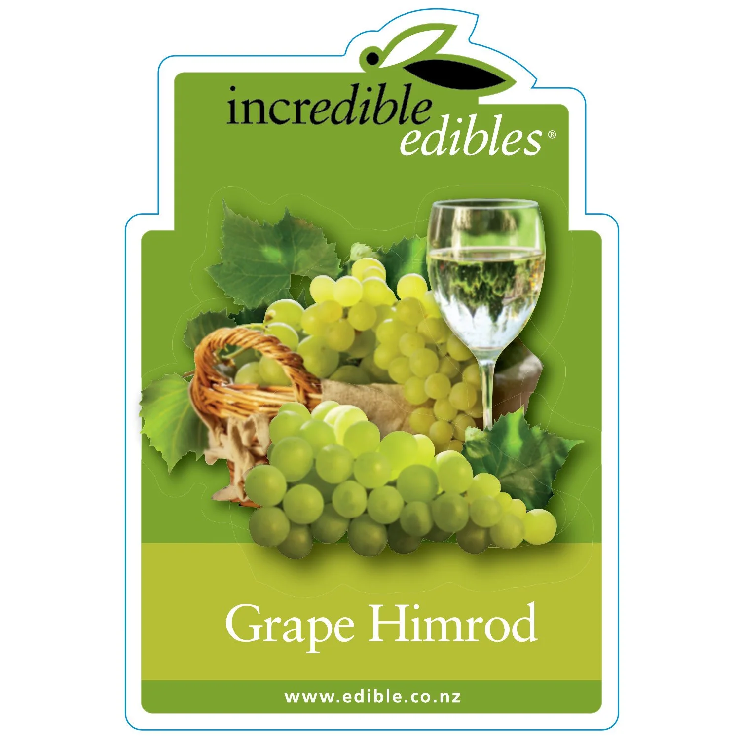 Grapes — Incredible Edibles - NZ’s Edible Plant Specialists