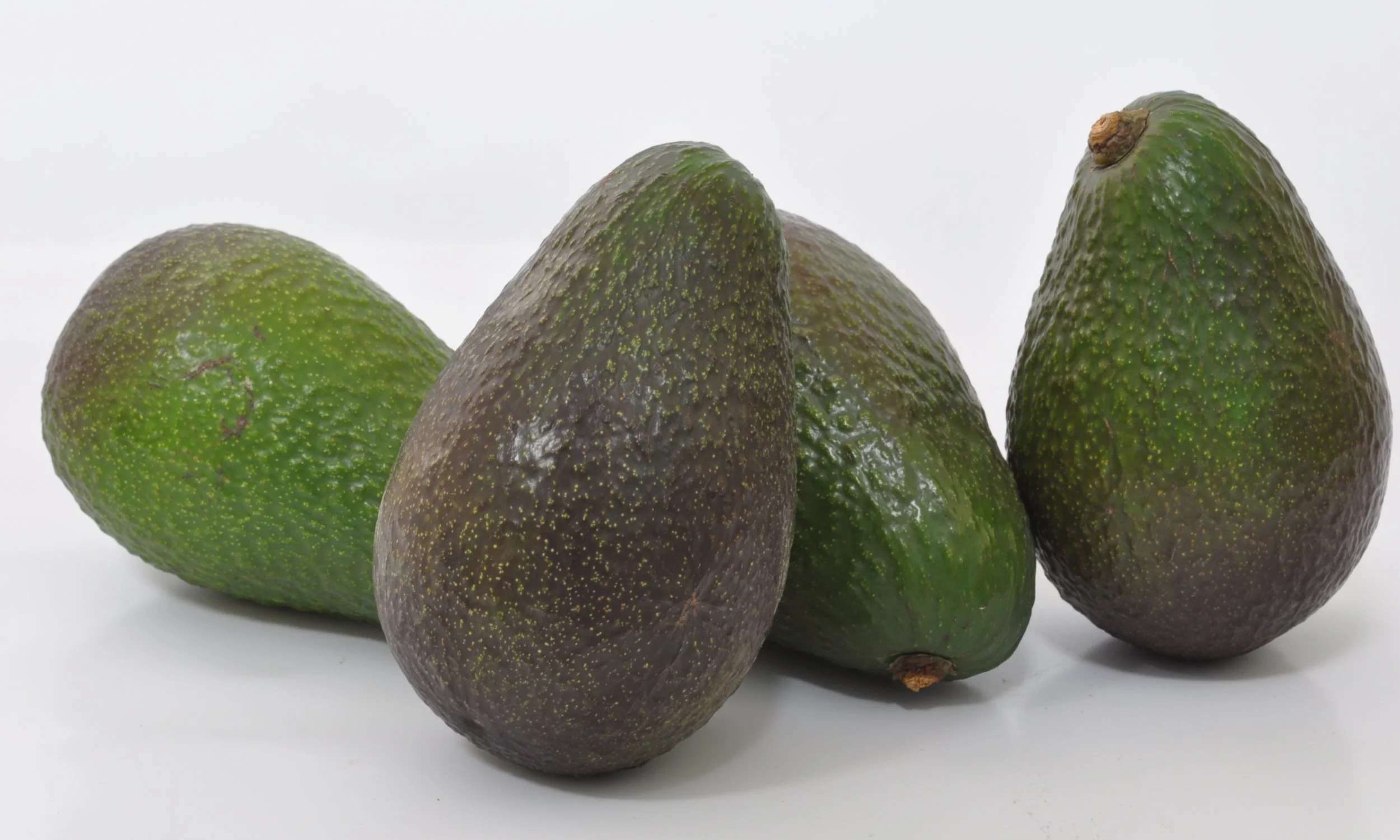 Avocado — Incredible Edibles - NZ’s Edible Plant Specialists
