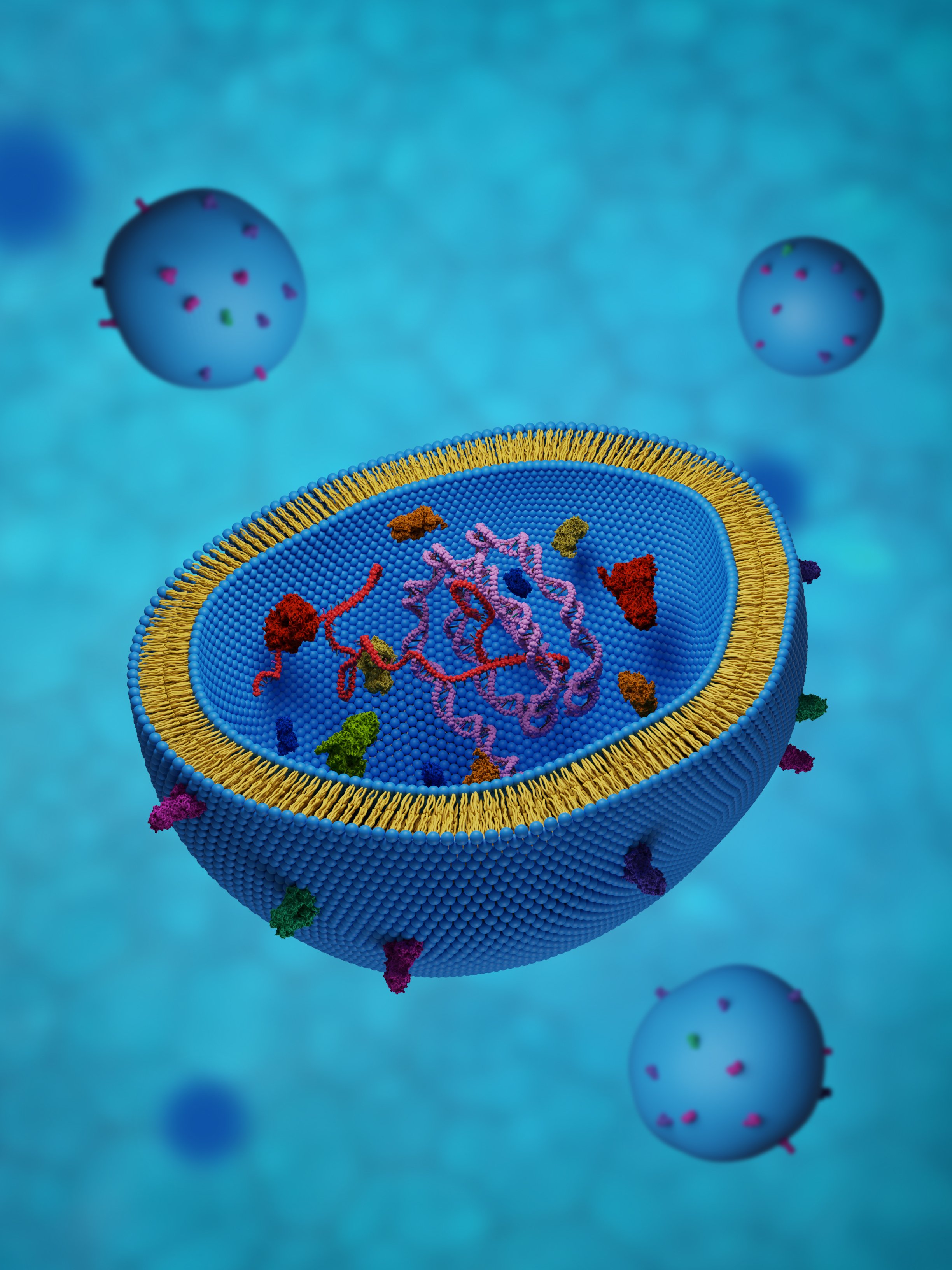 Miami Exosome Therapy | Functional Medicine Doctors Miami — Advice For ...