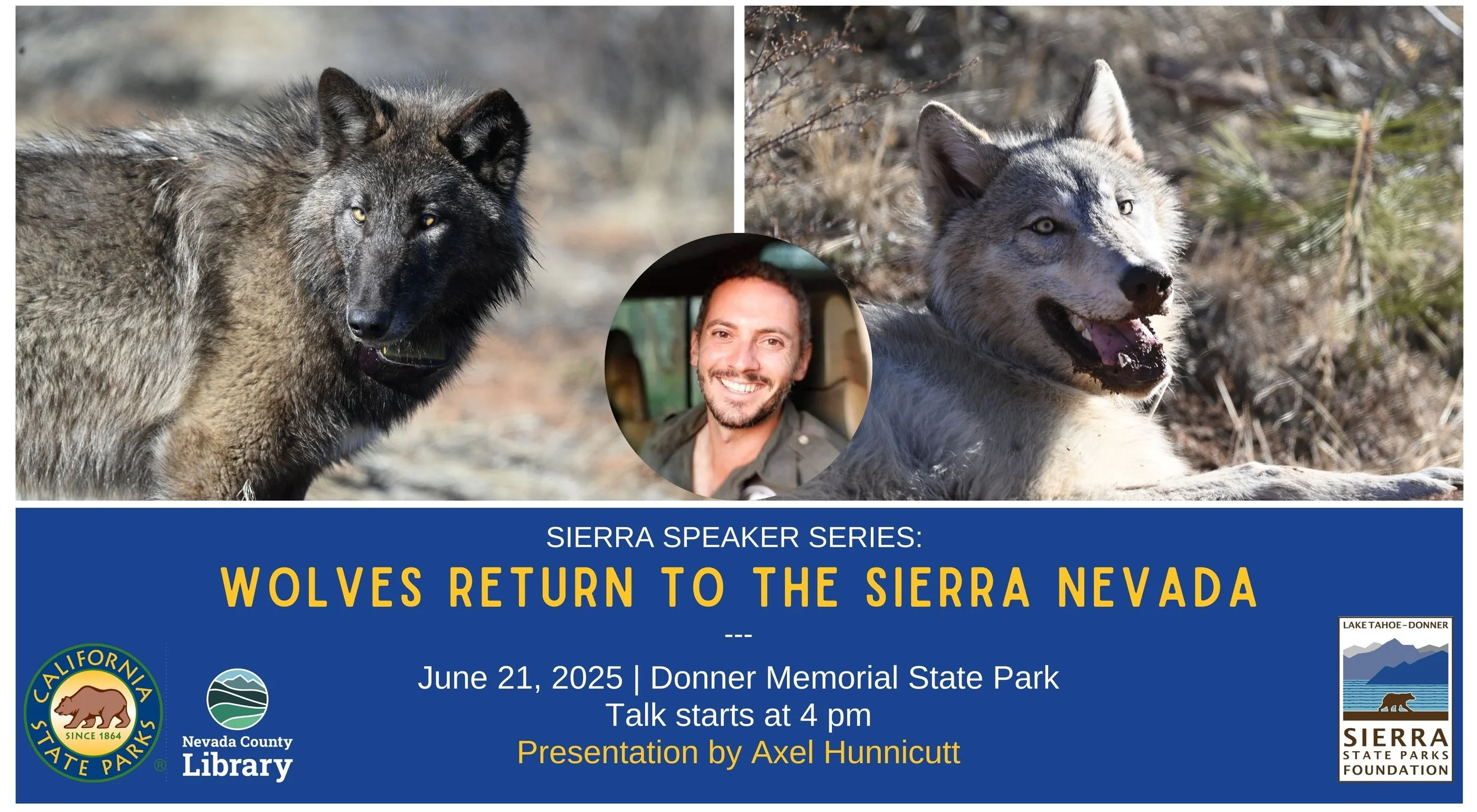 Sierra Speaker Series: Wolves Return to the Sierra Nevada — Sierra ...