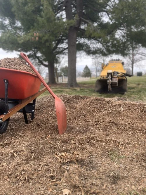 Request an Estimate — Provision Arbor Care