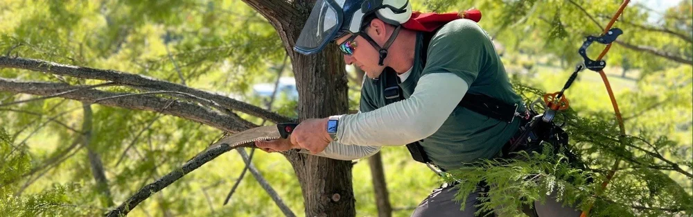 Provision Arbor Care