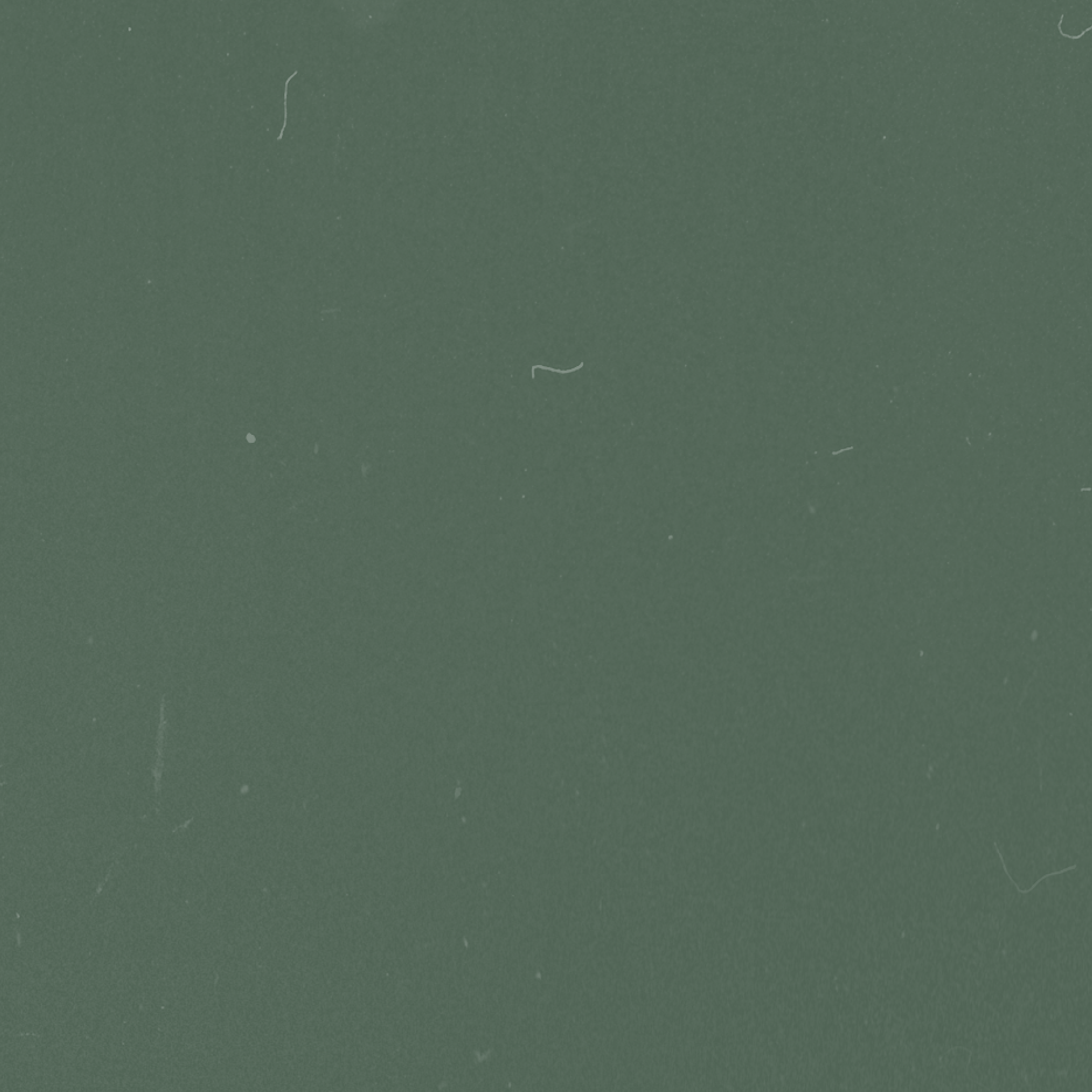 Confirmation — Provision Arbor Care