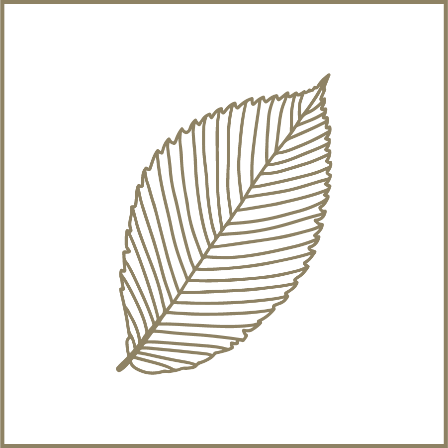 Provision Arbor Care - Tree Care Services Near St. Louis