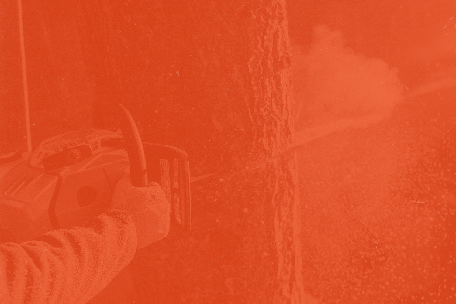 Request an Estimate — Provision Arbor Care