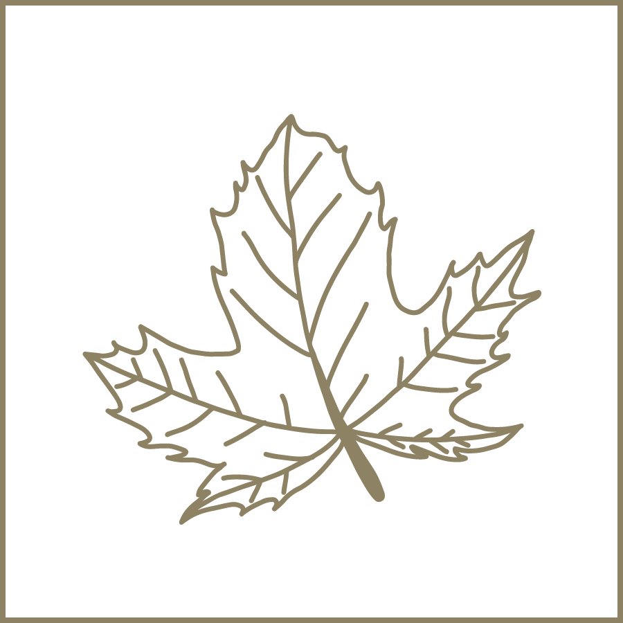 Provision Arbor Care - Tree Care Services Near St. Louis