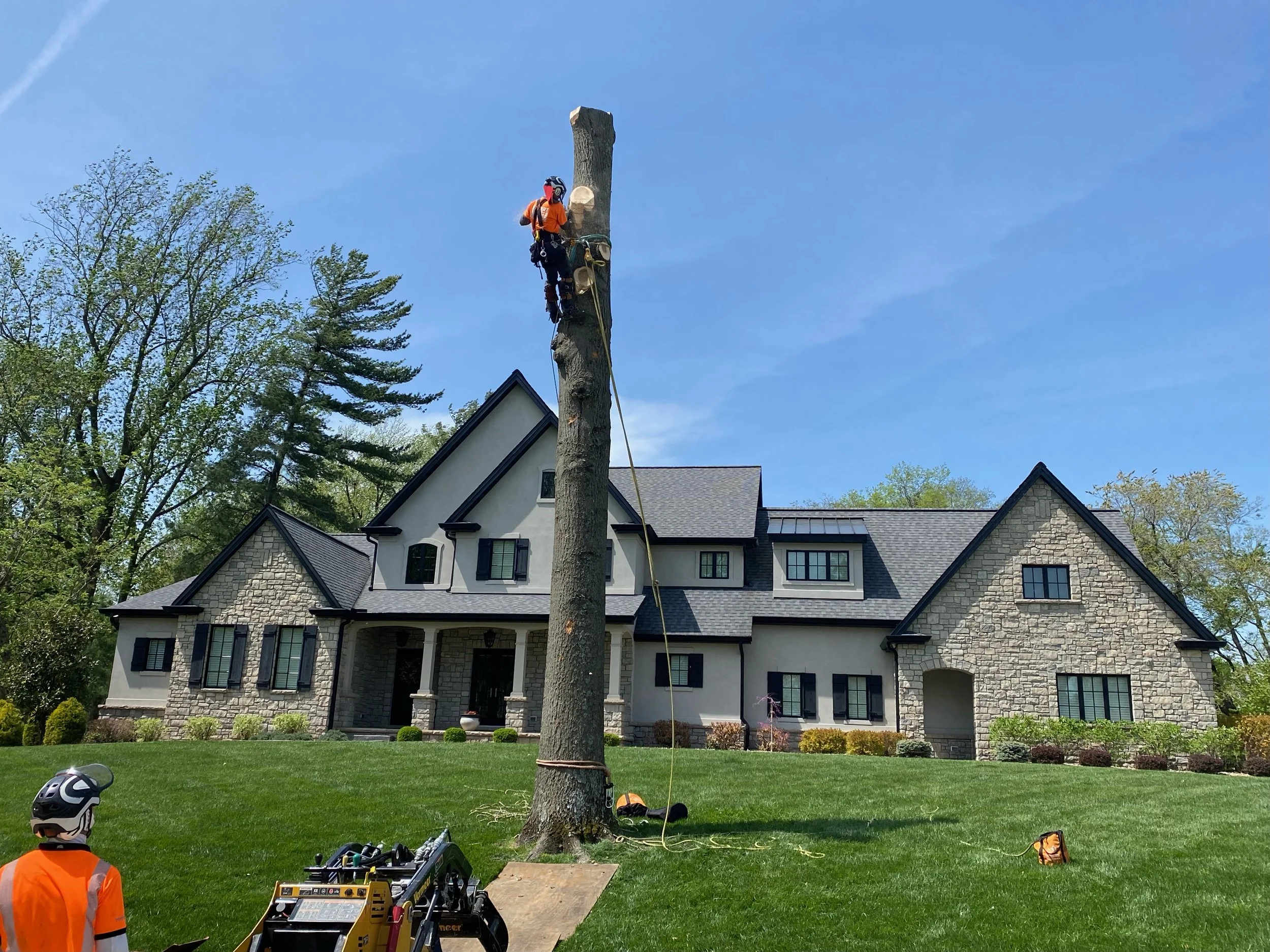 Request an Estimate — Provision Arbor Care