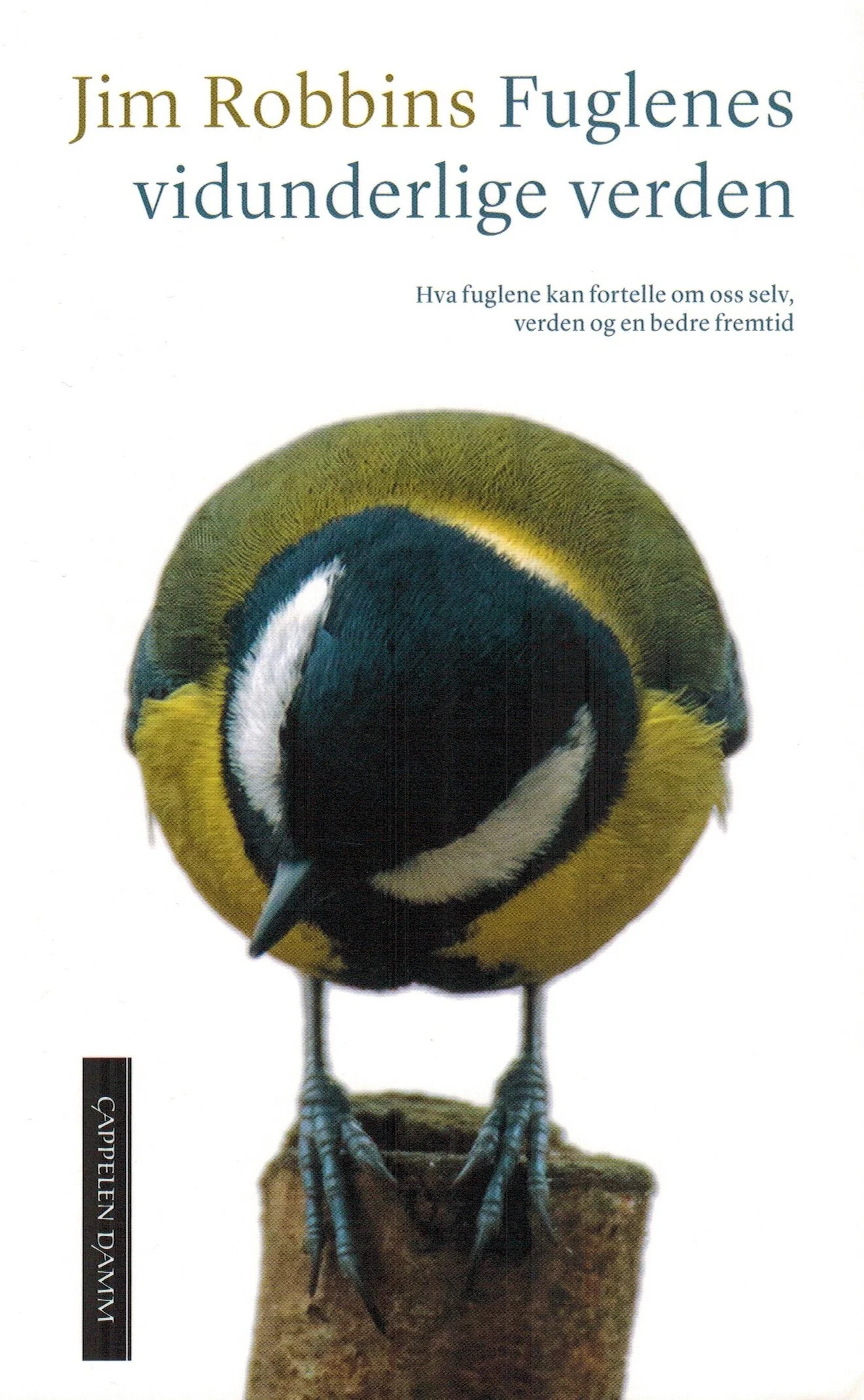 STUART BERNSTEIN REPRESENTATION FOR ARTISTS