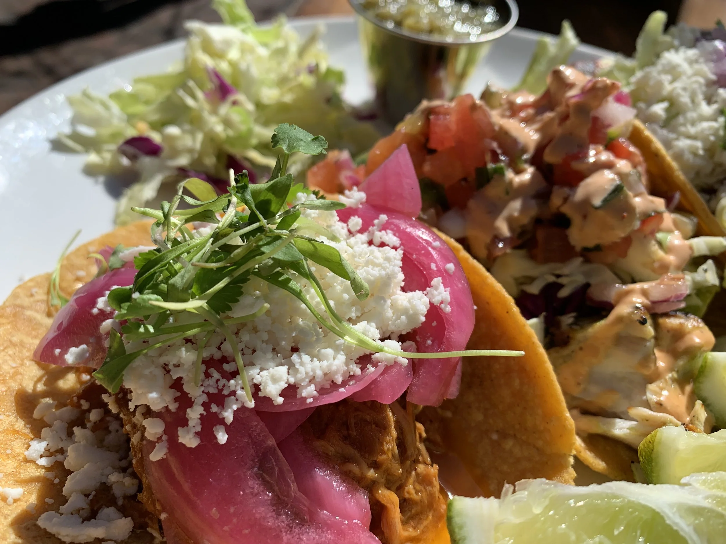 Saguaros, Sunshine and Gastronomy in Tucson, Arizona — Modern Traveller