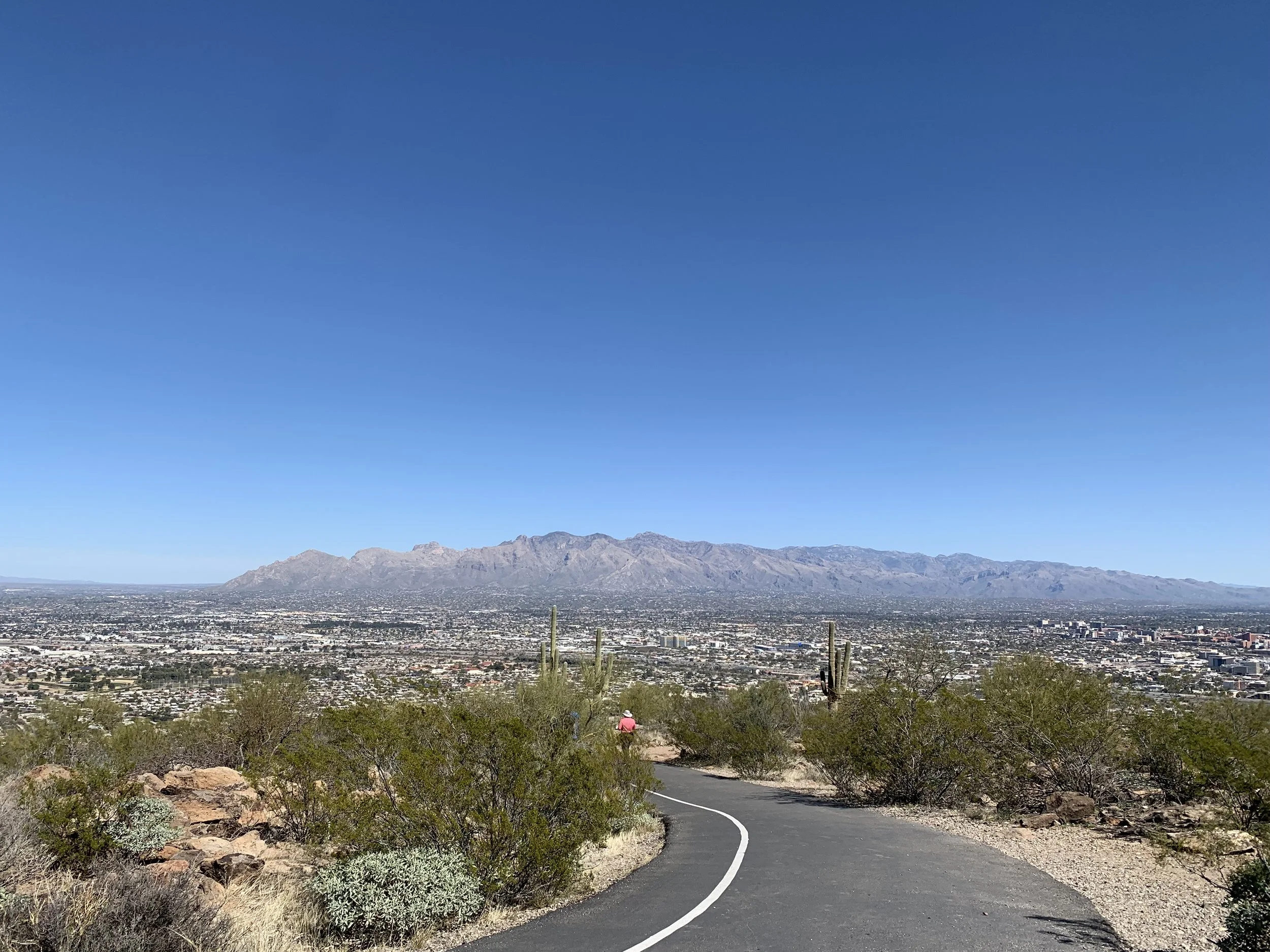 Saguaros, Sunshine and Gastronomy in Tucson, Arizona — Modern Traveller