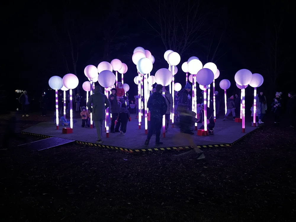 Learn About the 2023 Lights On Stratford Festival — Modern Traveller