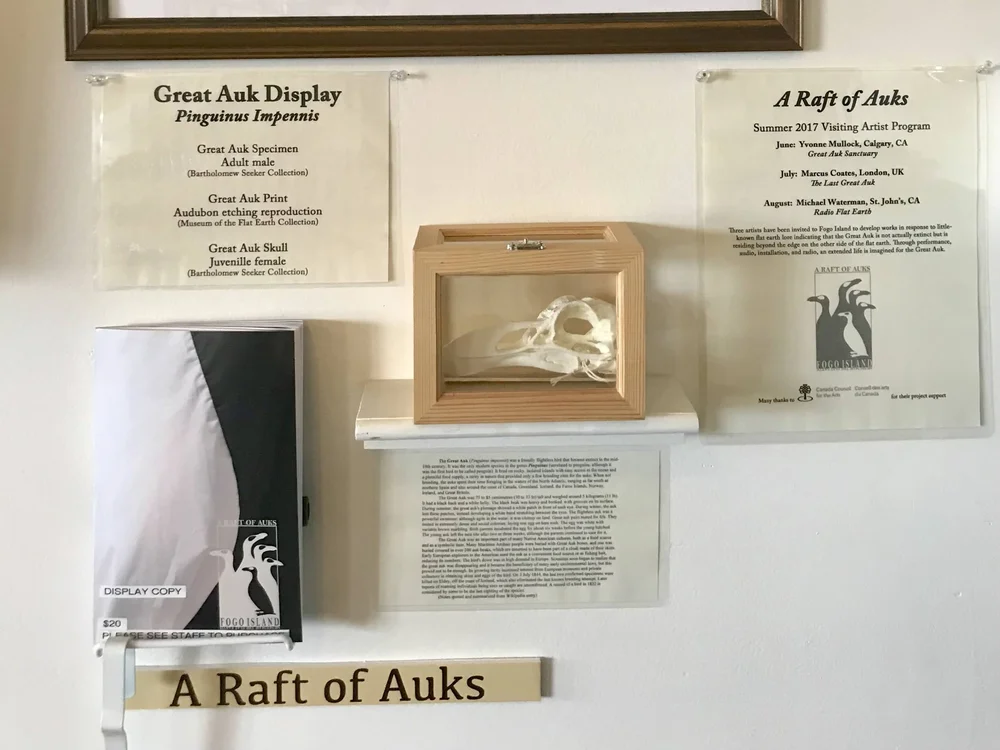 On Fogo Island, Artists Celebrate the Extinct Great Auk — Modern Traveller