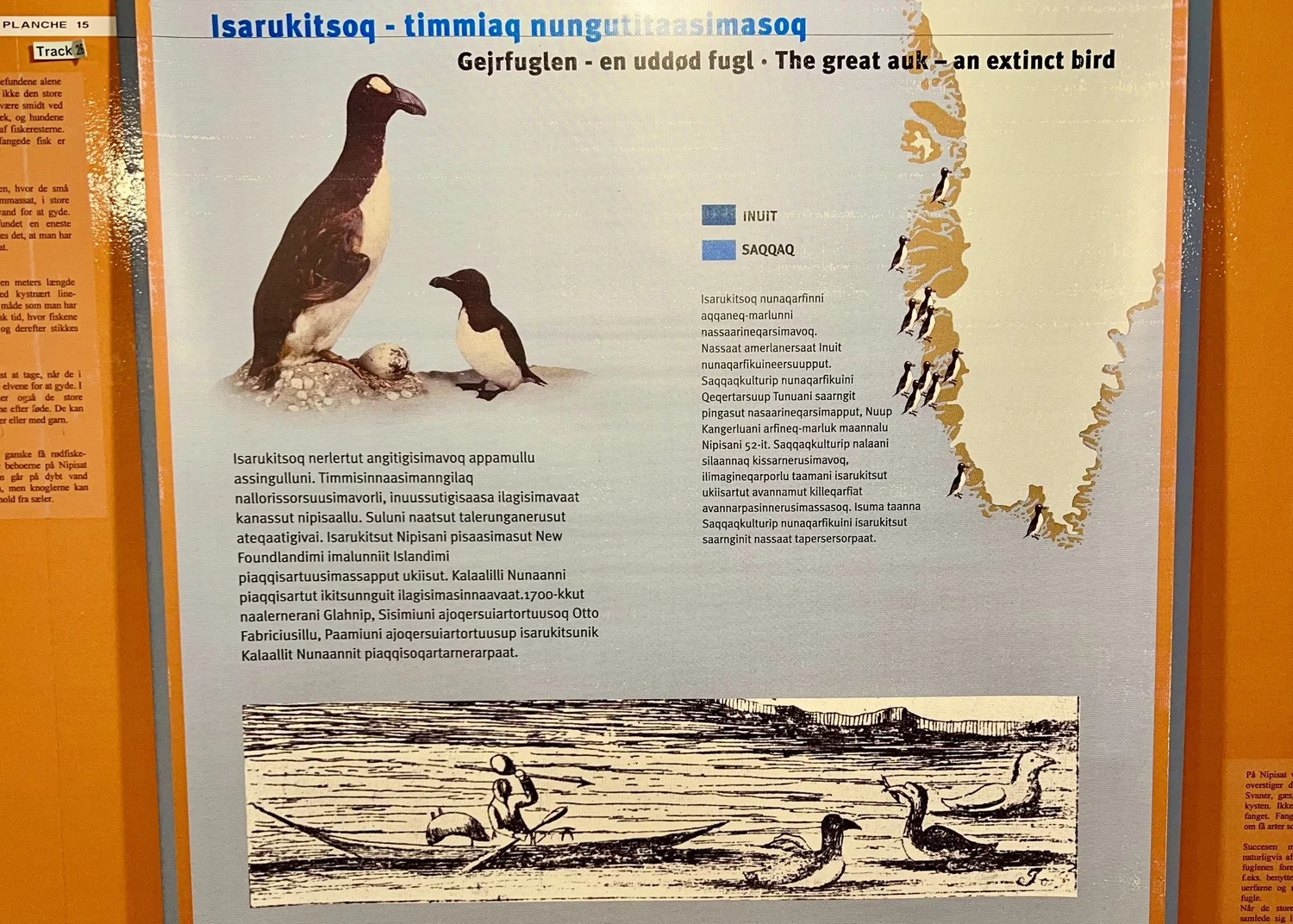 On Fogo Island, Artists Celebrate the Extinct Great Auk — Modern Traveller