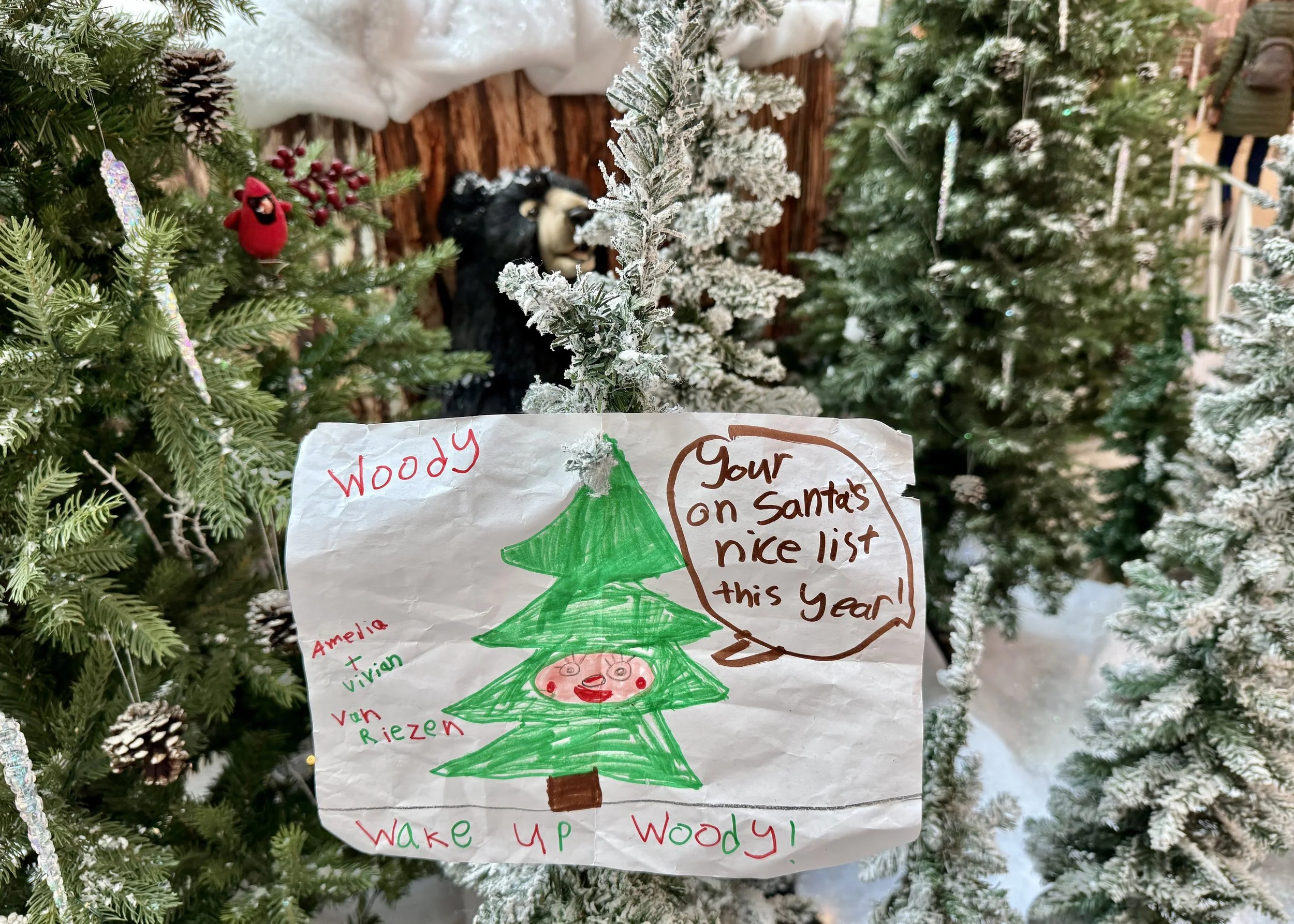 Waking up Woody The Talking Christmas Tree in Dartmouth, Nova Scotia ...