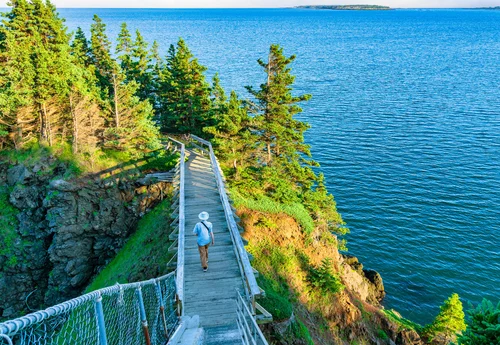 Discovering New Brunswick’s Captivating Grand Manan Island — Modern ...