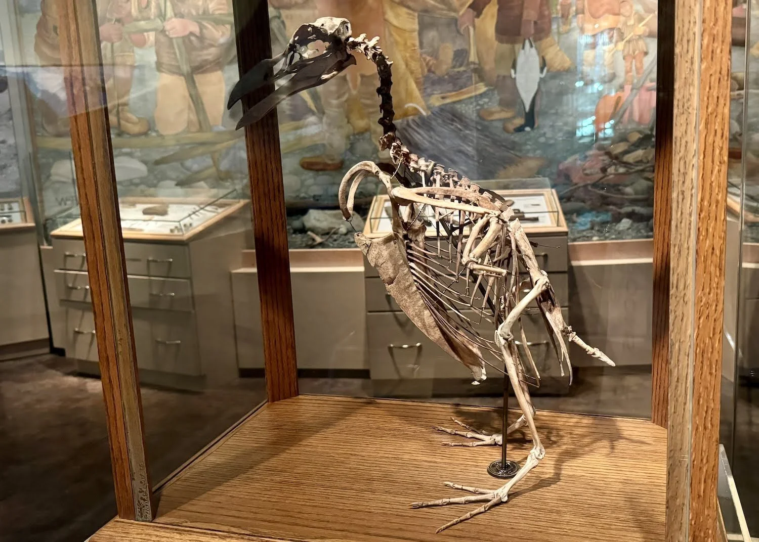 On Fogo Island, Artists Celebrate the Extinct Great Auk — Modern Traveller