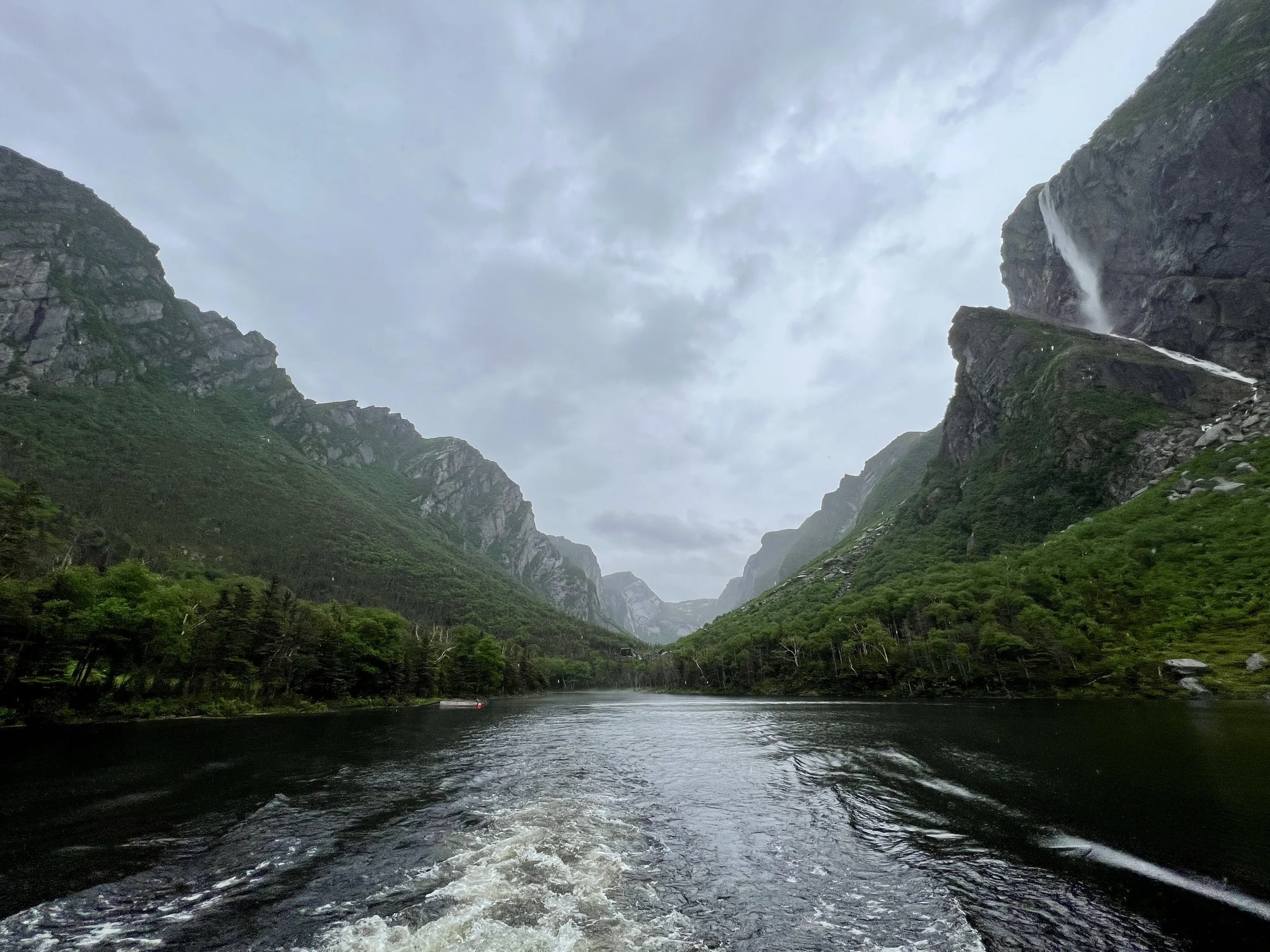 10 Sweet Summer Spots in Newfoundland and Labrador — Modern Traveller