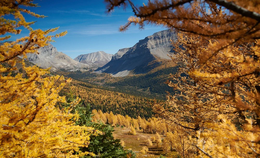 The Best Places To See Fall Colours in Canada — Modern Traveller