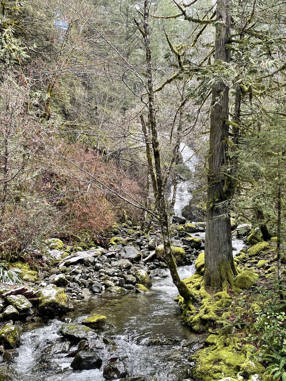 Discovering Sooke, British Columbia — Modern Traveller