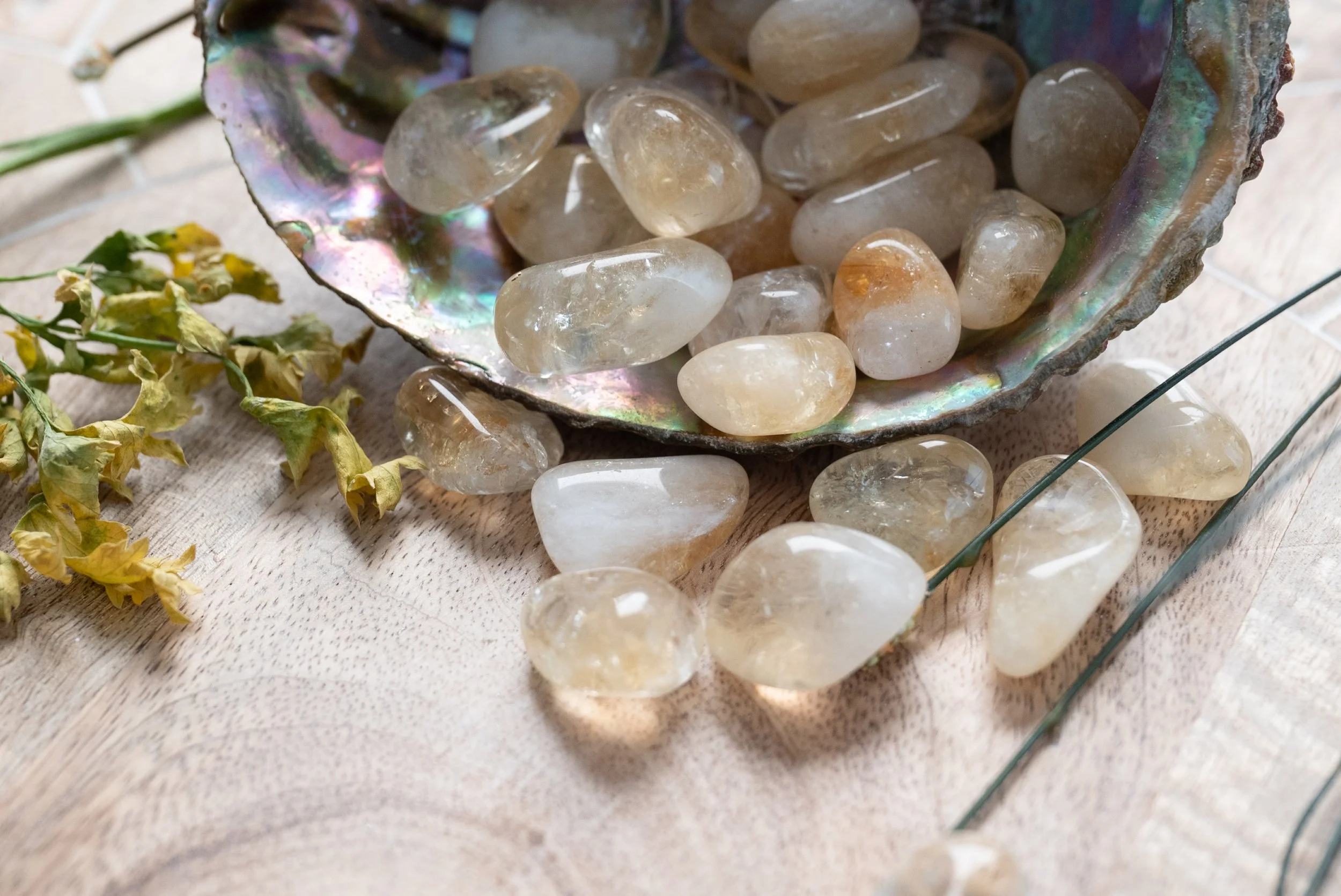 Shop — Ueki Energy Wellness, LLC