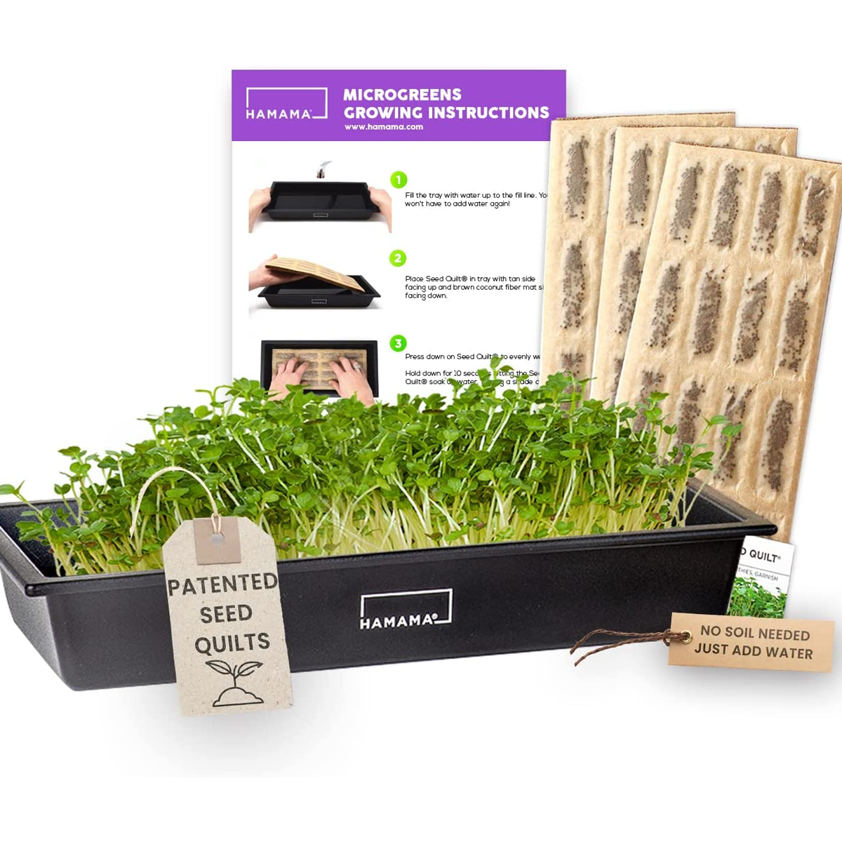 How2 Grow Microgreens | How2Hailey — Hailey H. Rogers
