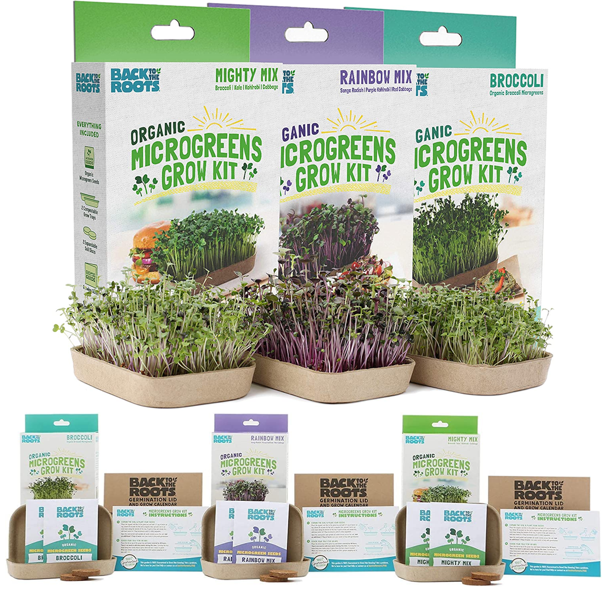 How2 Grow Microgreens | How2Hailey — Hailey H. Rogers