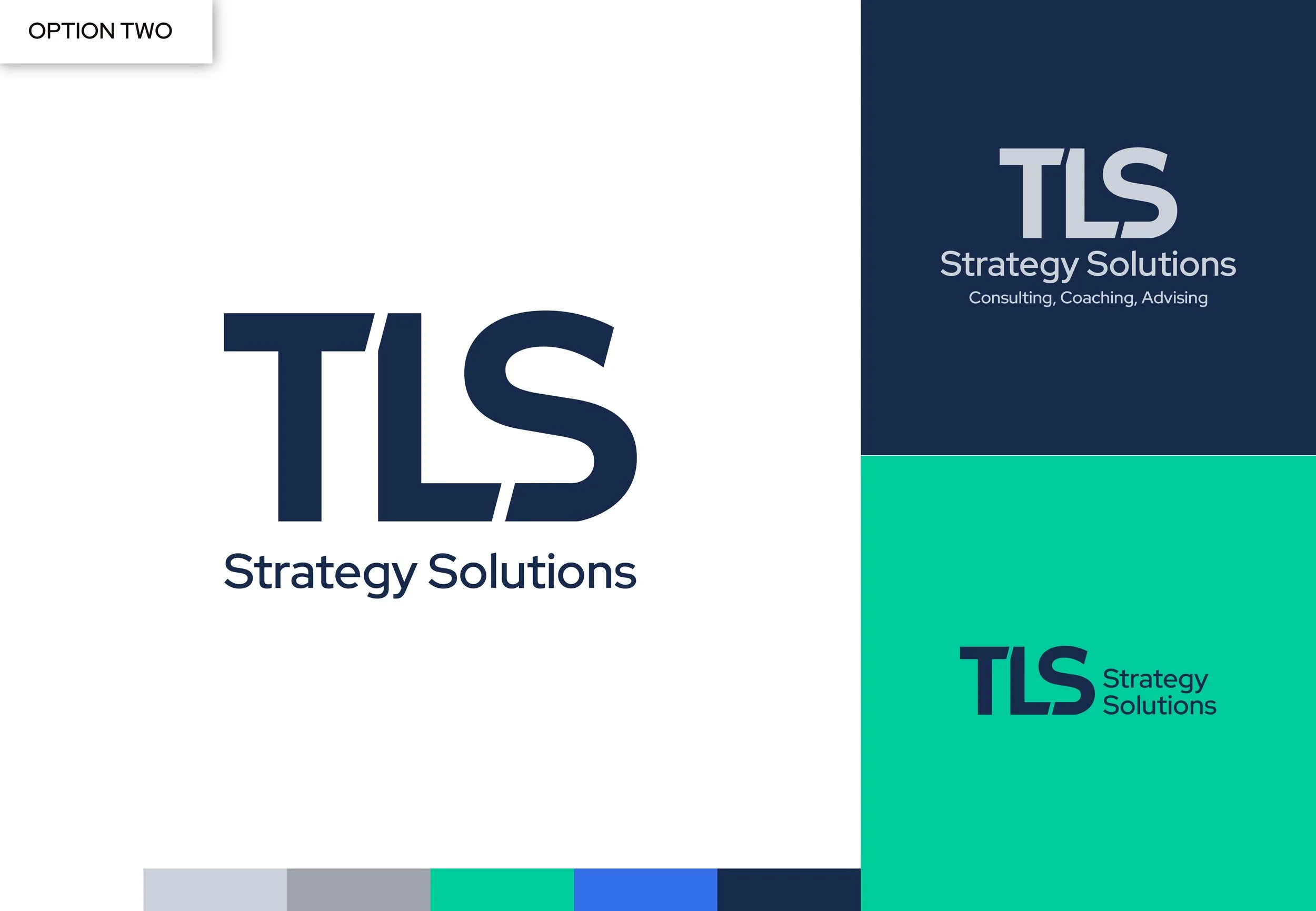 TLS Strategy Solutions — Portfolio