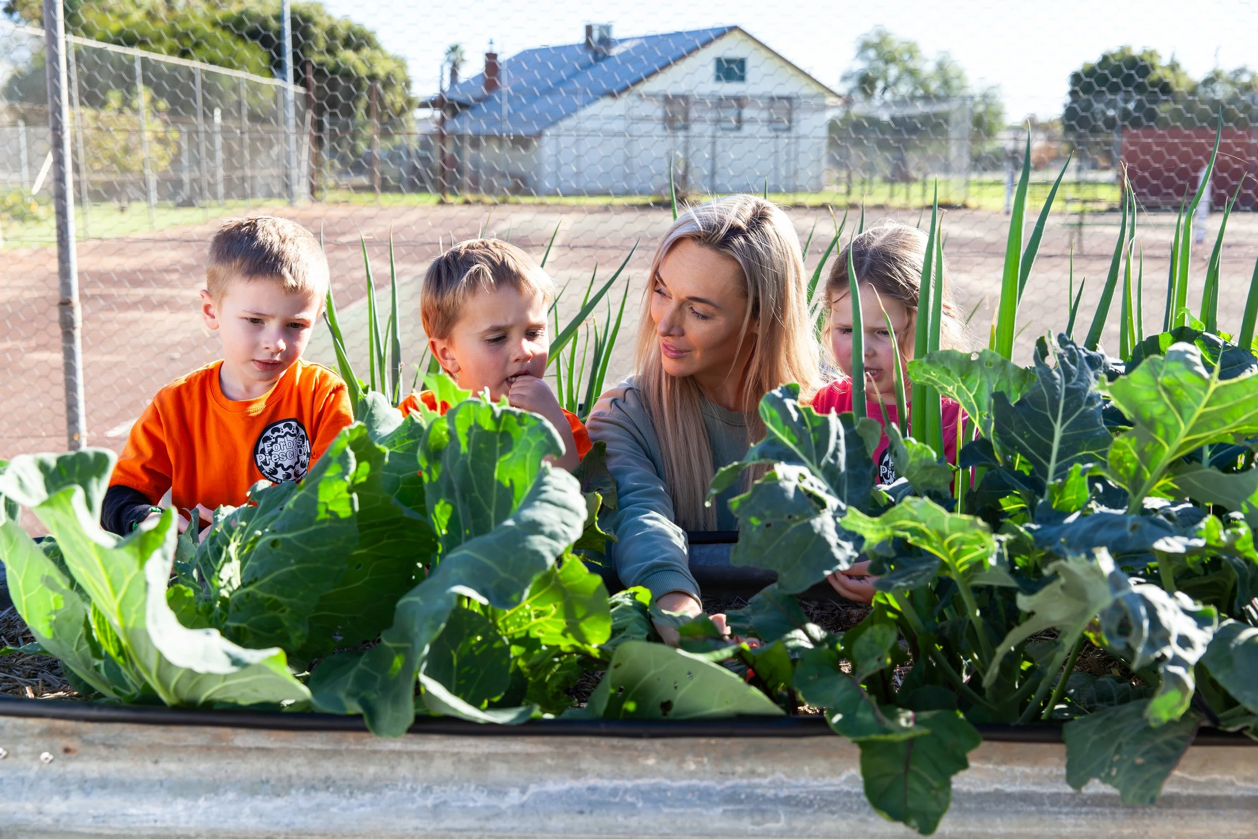 Image gallery - Our building, classrooms, play areas, activities, our team of staff and ...