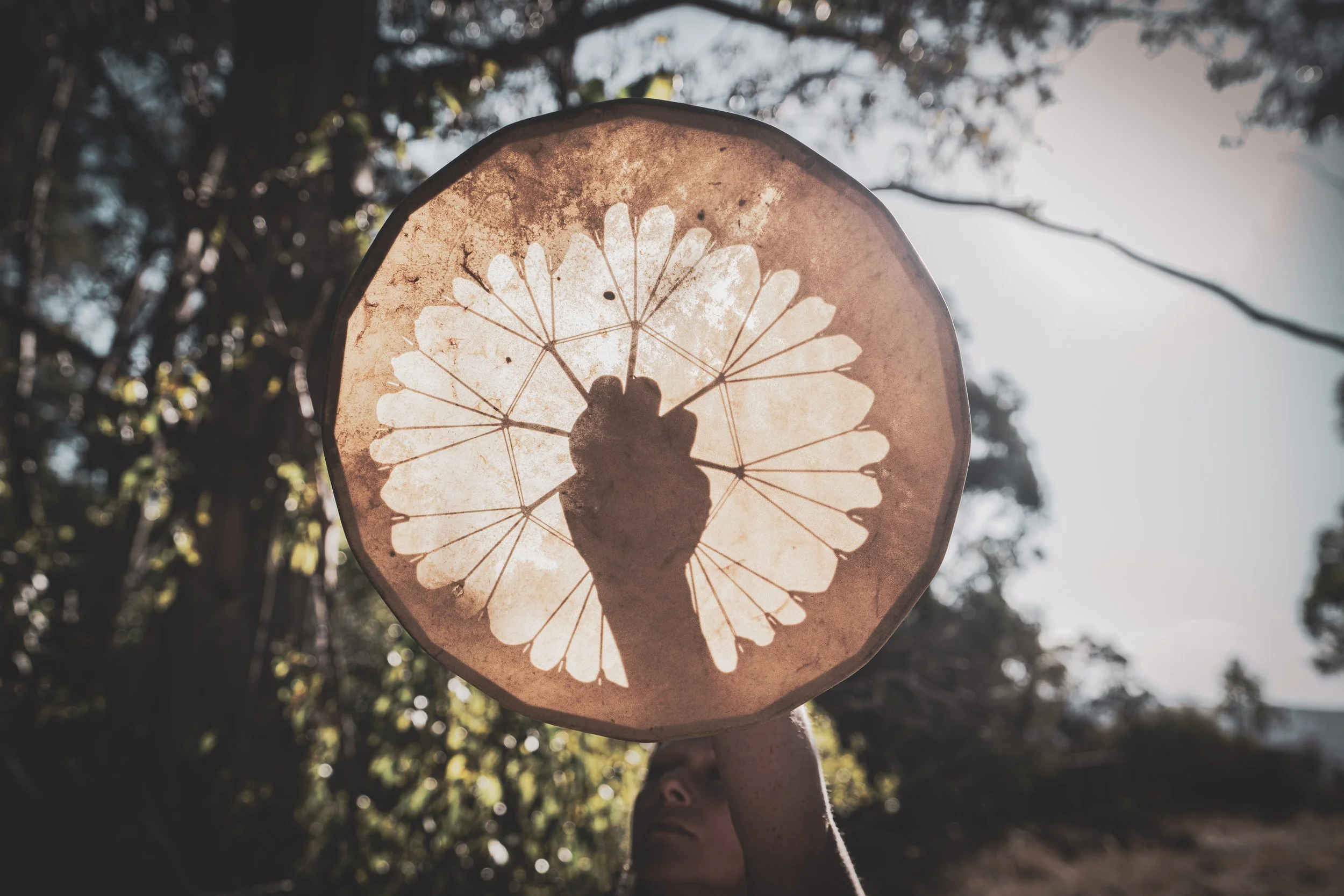 This Week at The Healing Space — The Healing Space Cygnet