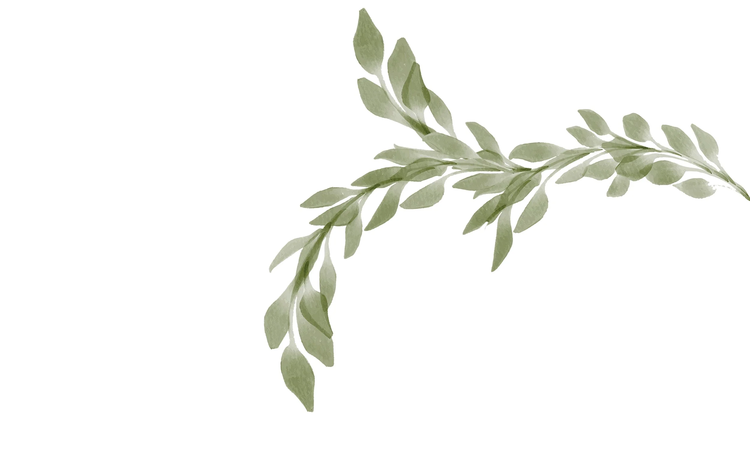 About 1 — www.lacucinadiciro.co.za