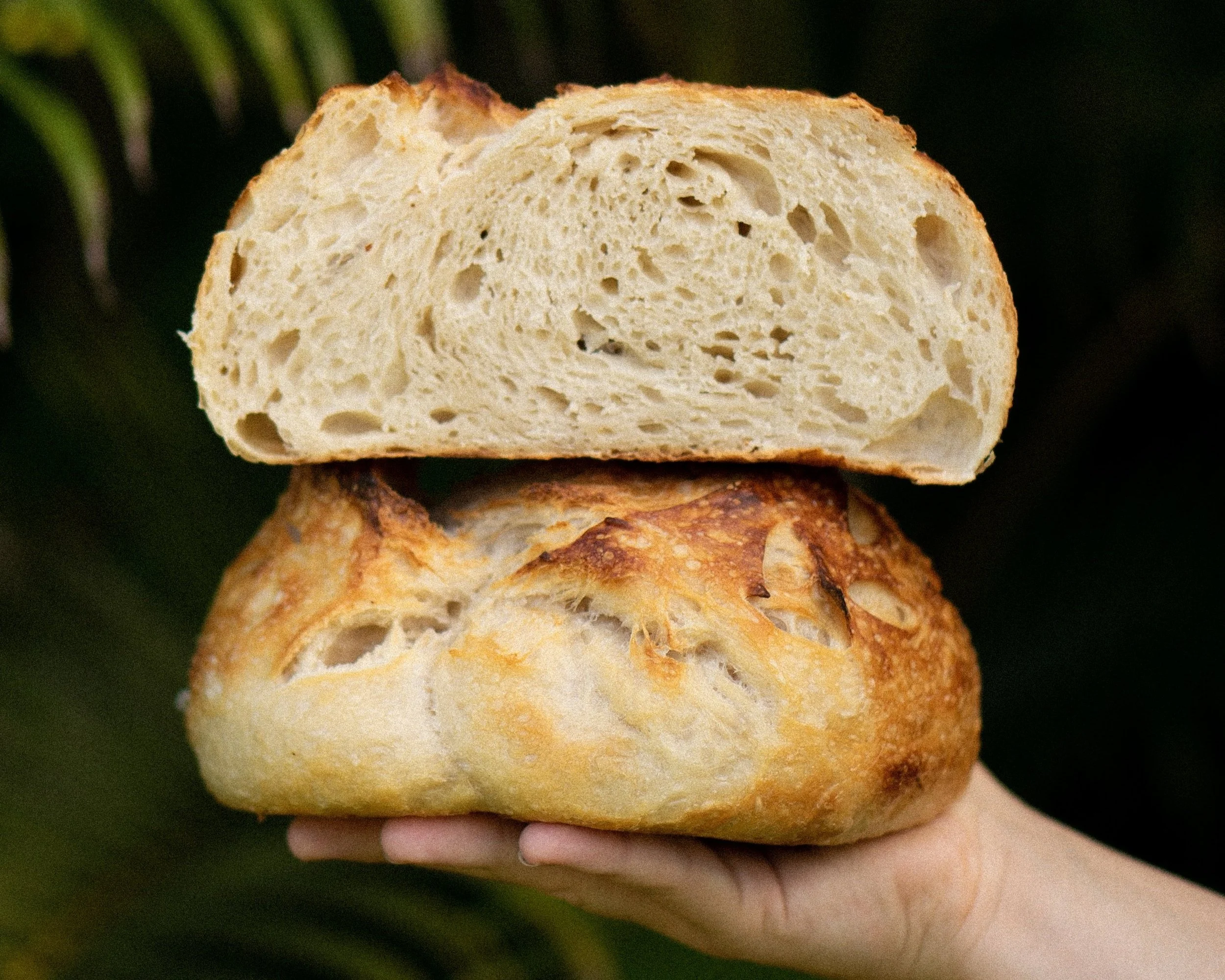 Artisan Sourdough Bread — Hancock Hale