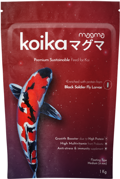 Magma Fresh Larvae | Magalarva