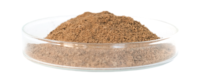 BSF Larvae Products for Cattle | Magalarva