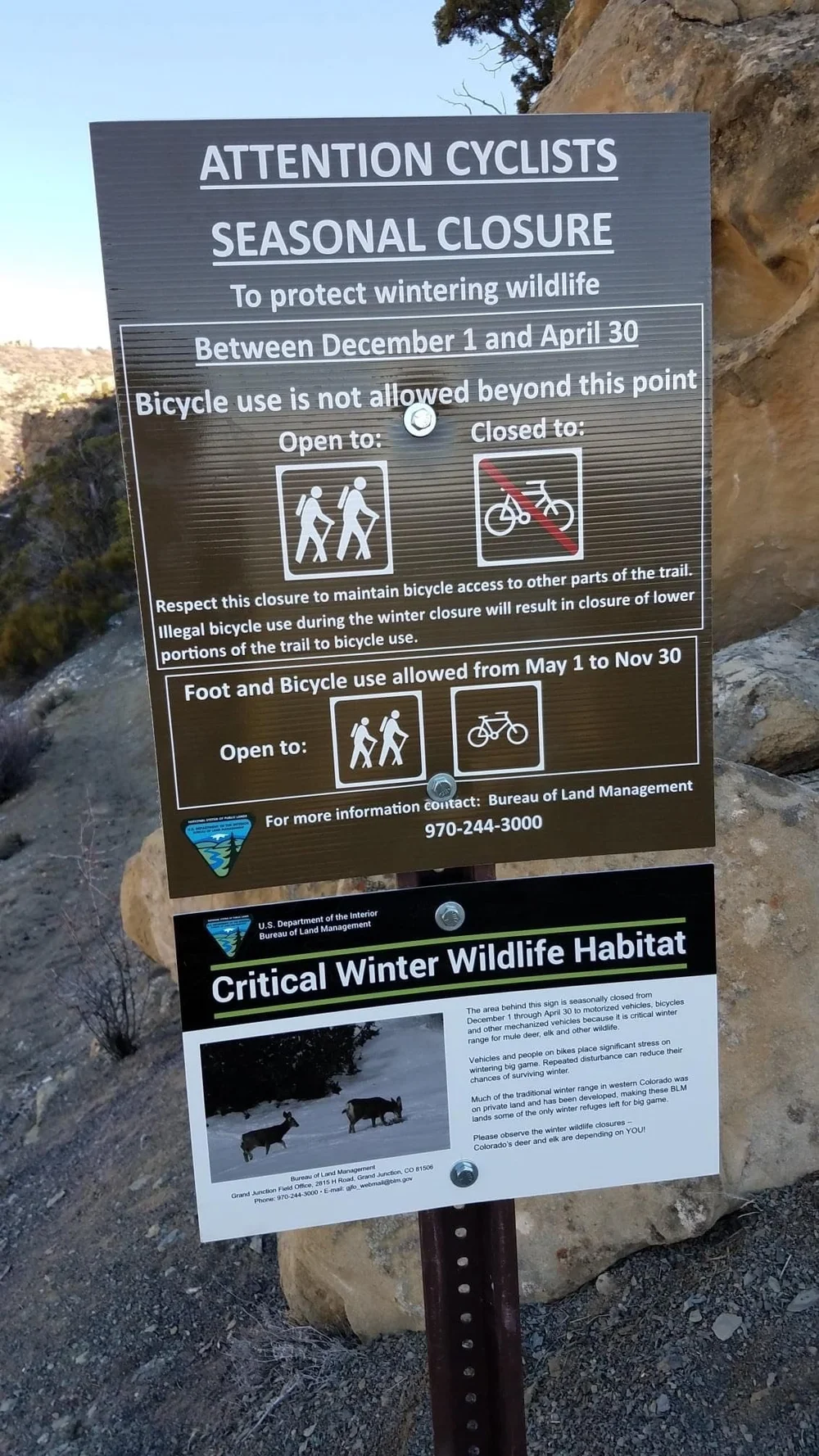 Palisade Plunge Update — COPMOBA