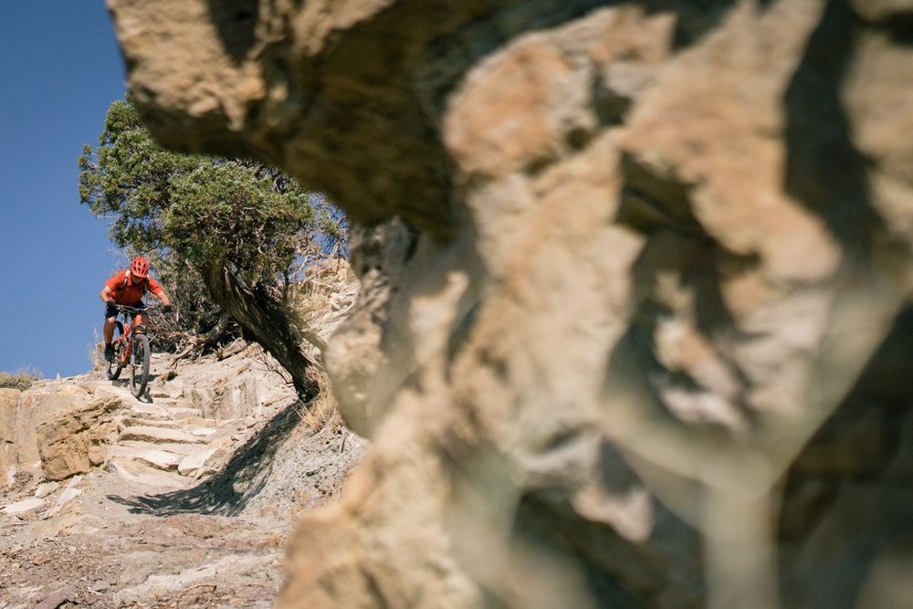 Plunge into Phase One of the Palisade Plunge — COPMOBA