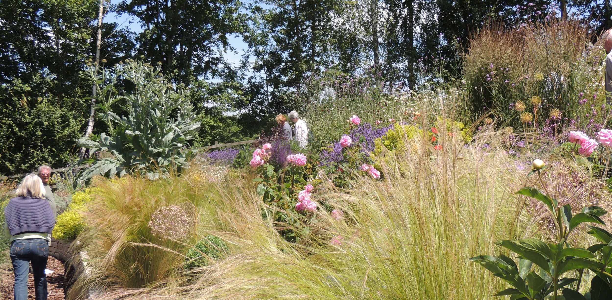 Naturalistic Planting Design — HerOutdoorz - Garden Designer and Nature ...