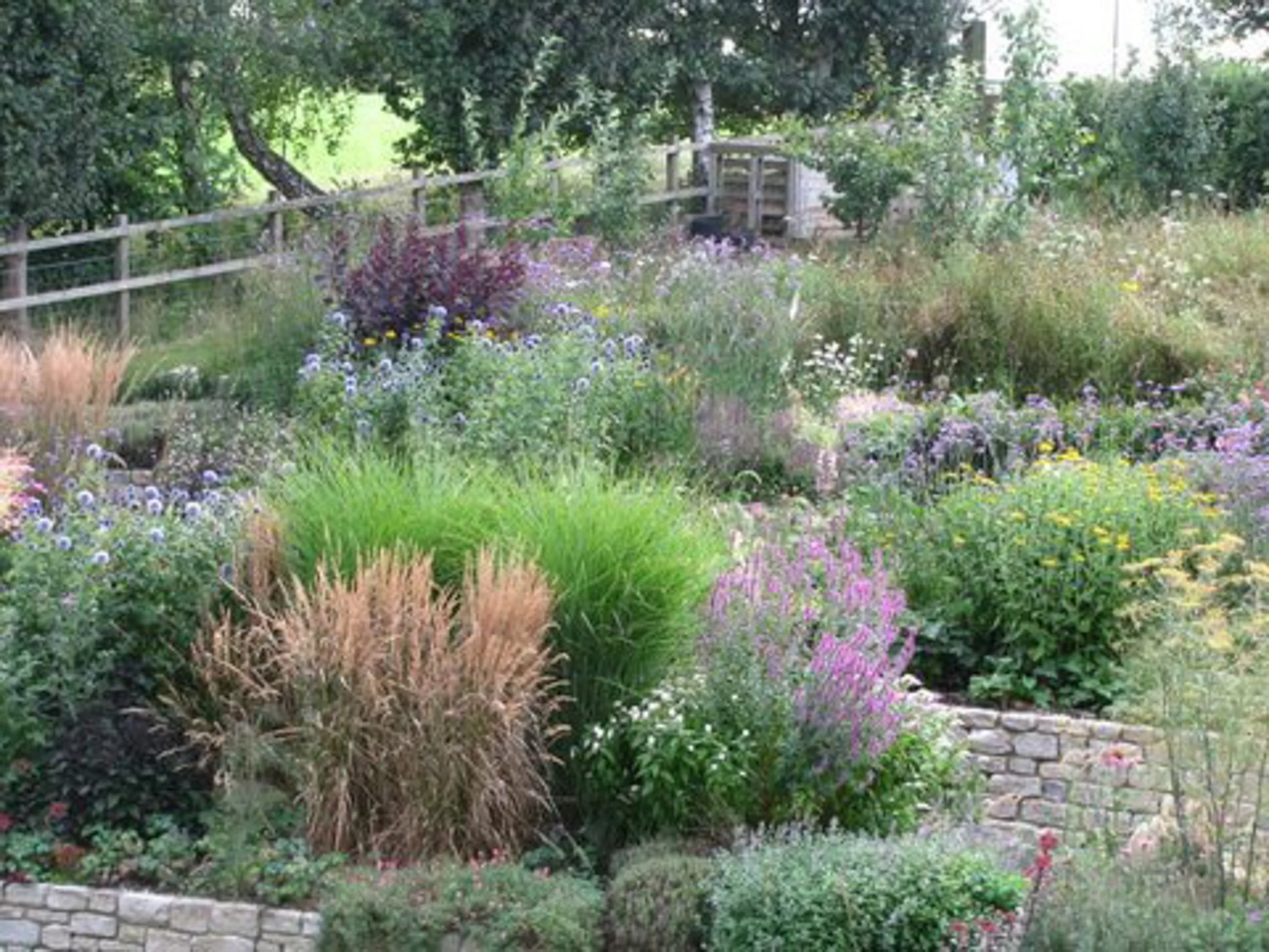 Naturalistic Planting Design — HerOutdoorz - Garden Designer and Nature ...
