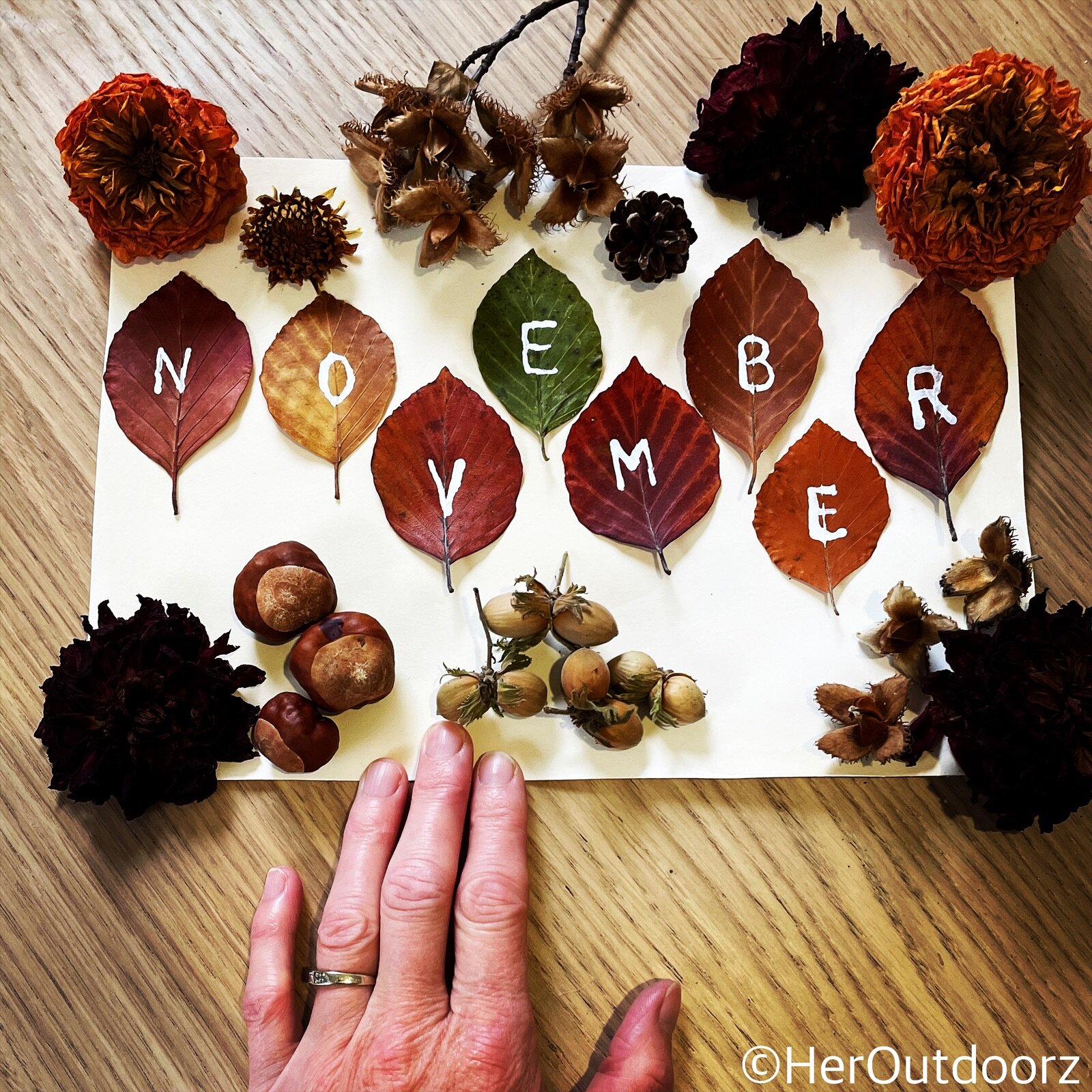 November - Month of Wood Smoke & Elongated Nights — HerOutdoorz ...