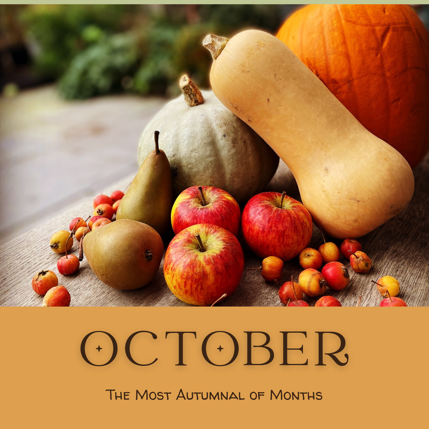 Nature Writing - Seasonal Compendium — HerOutdoorz - Garden Designer ...