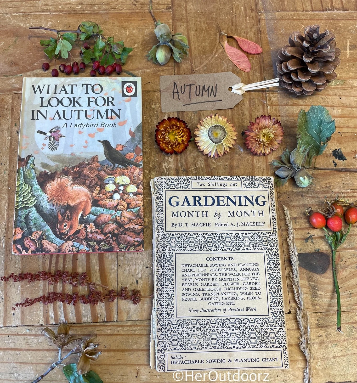 Nature Journaling — HerOutdoorz - Garden Designer and Nature Writer