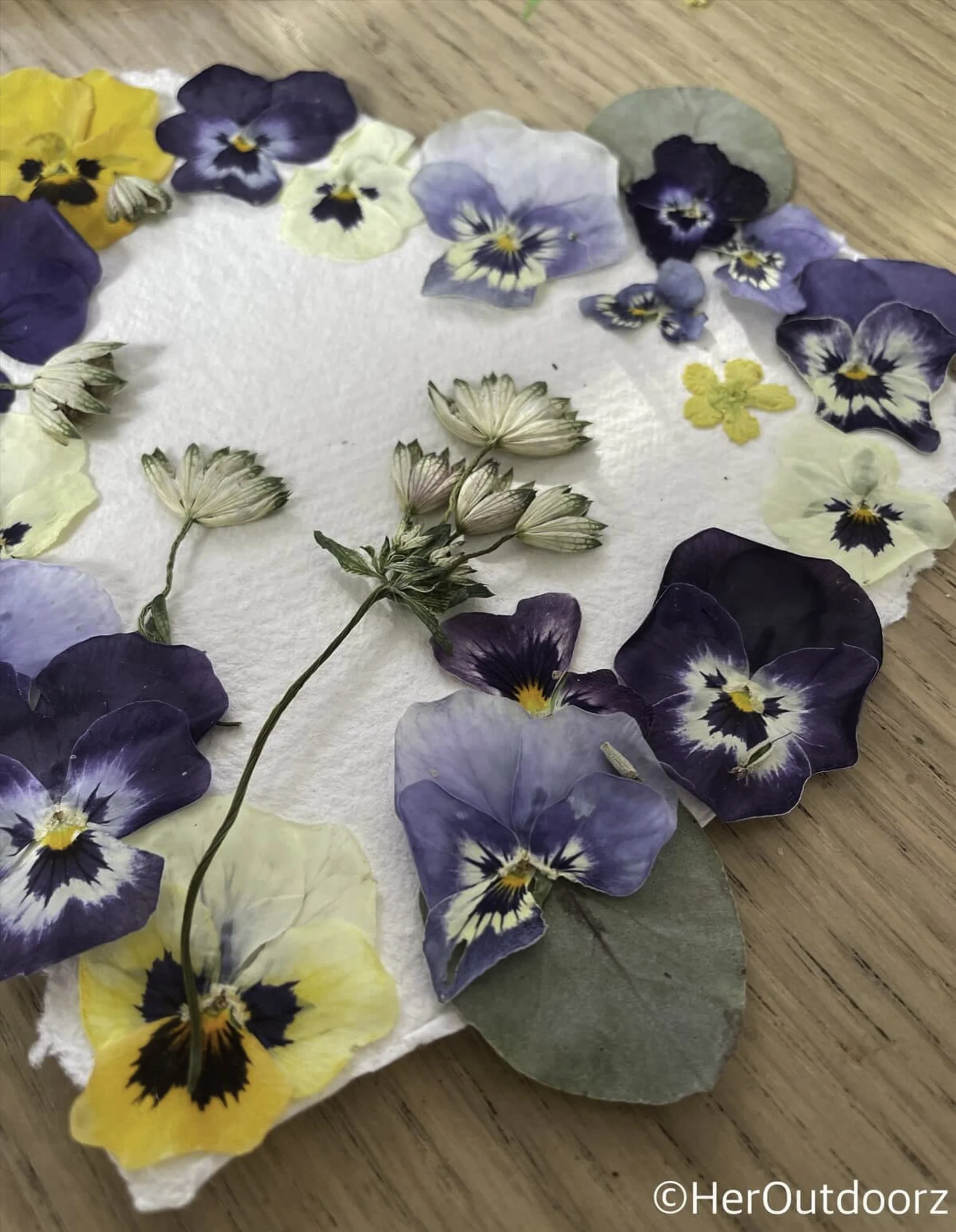 How to Press Flowers — HerOutdoorz - Garden Designer and Nature Writer