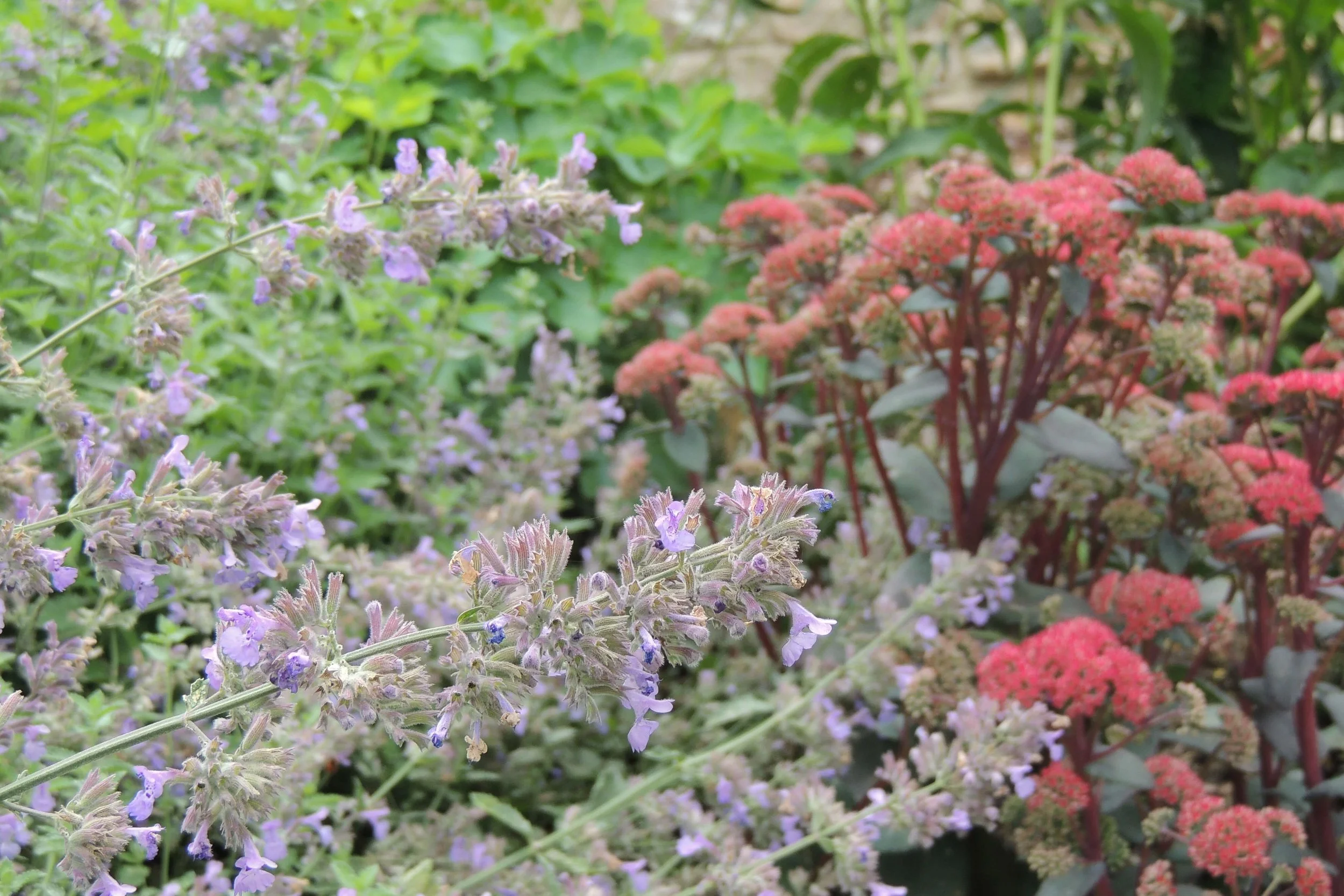 Naturalistic Planting Design — HerOutdoorz - Garden Designer and Nature ...