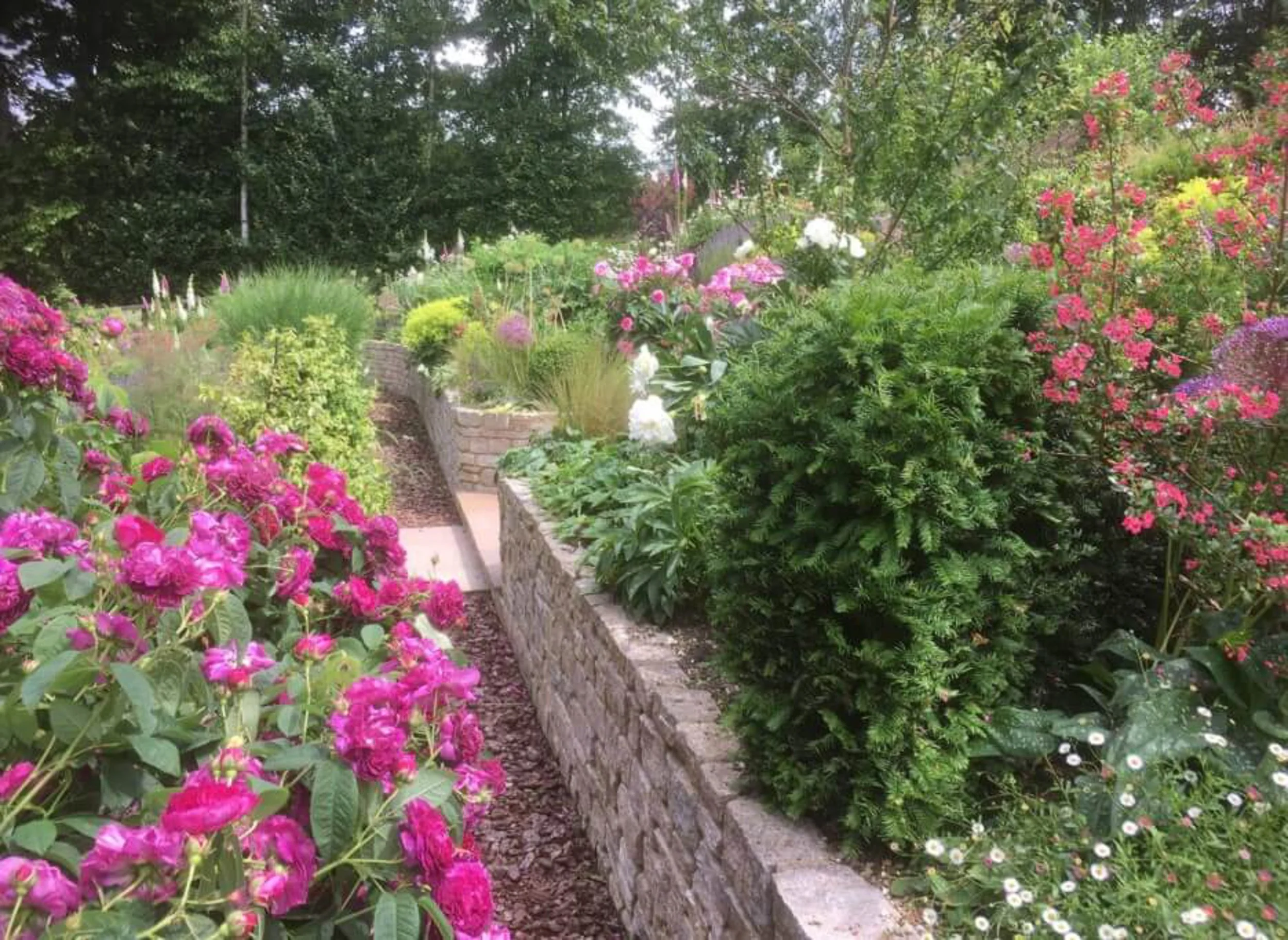 Naturalistic Planting Design — HerOutdoorz - Garden Designer and Nature ...