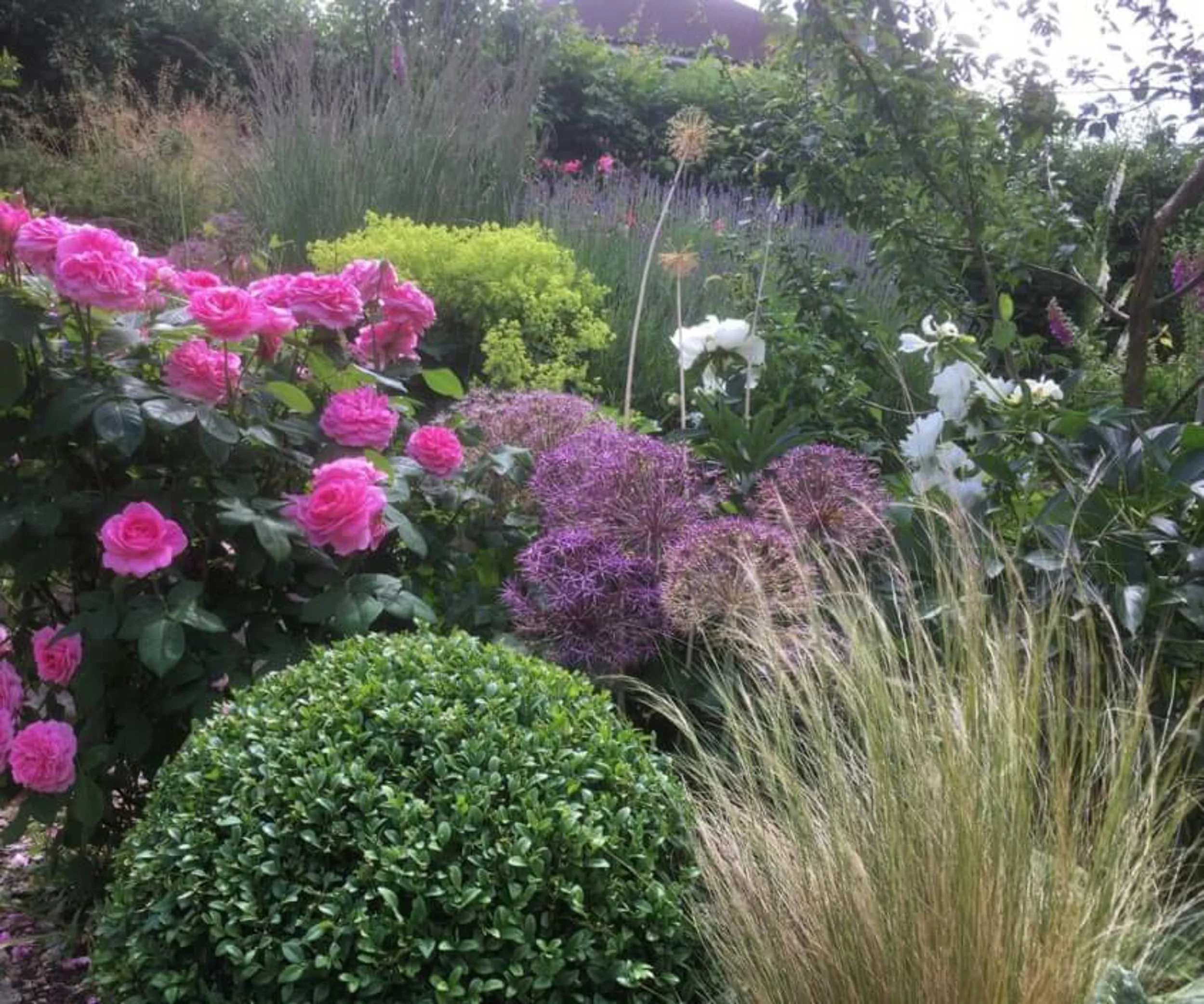 Naturalistic Planting Design — HerOutdoorz - Garden Designer and Nature ...