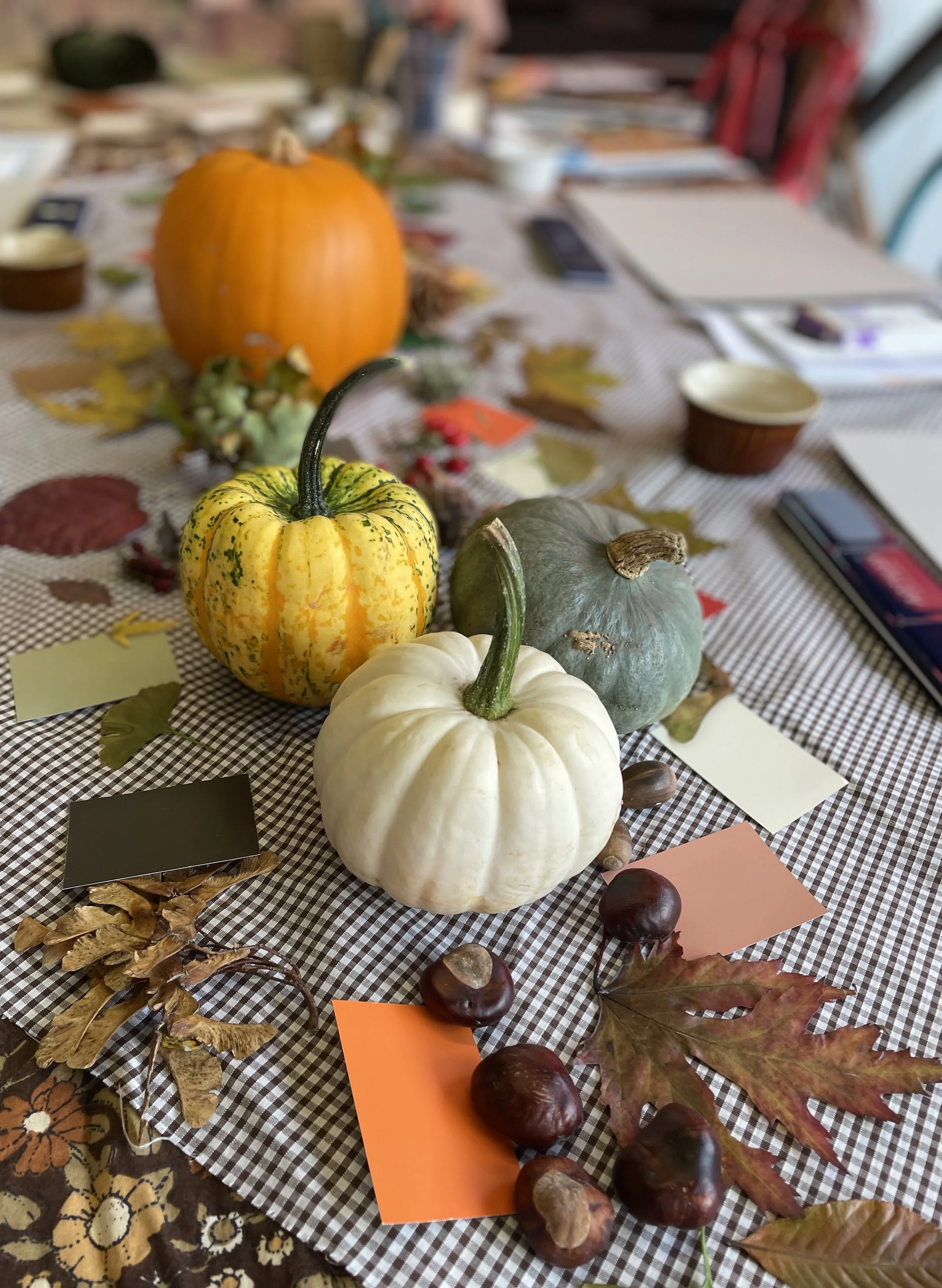Autumn Nature Journaling — HerOutdoorz - Garden Designer and Nature Writer