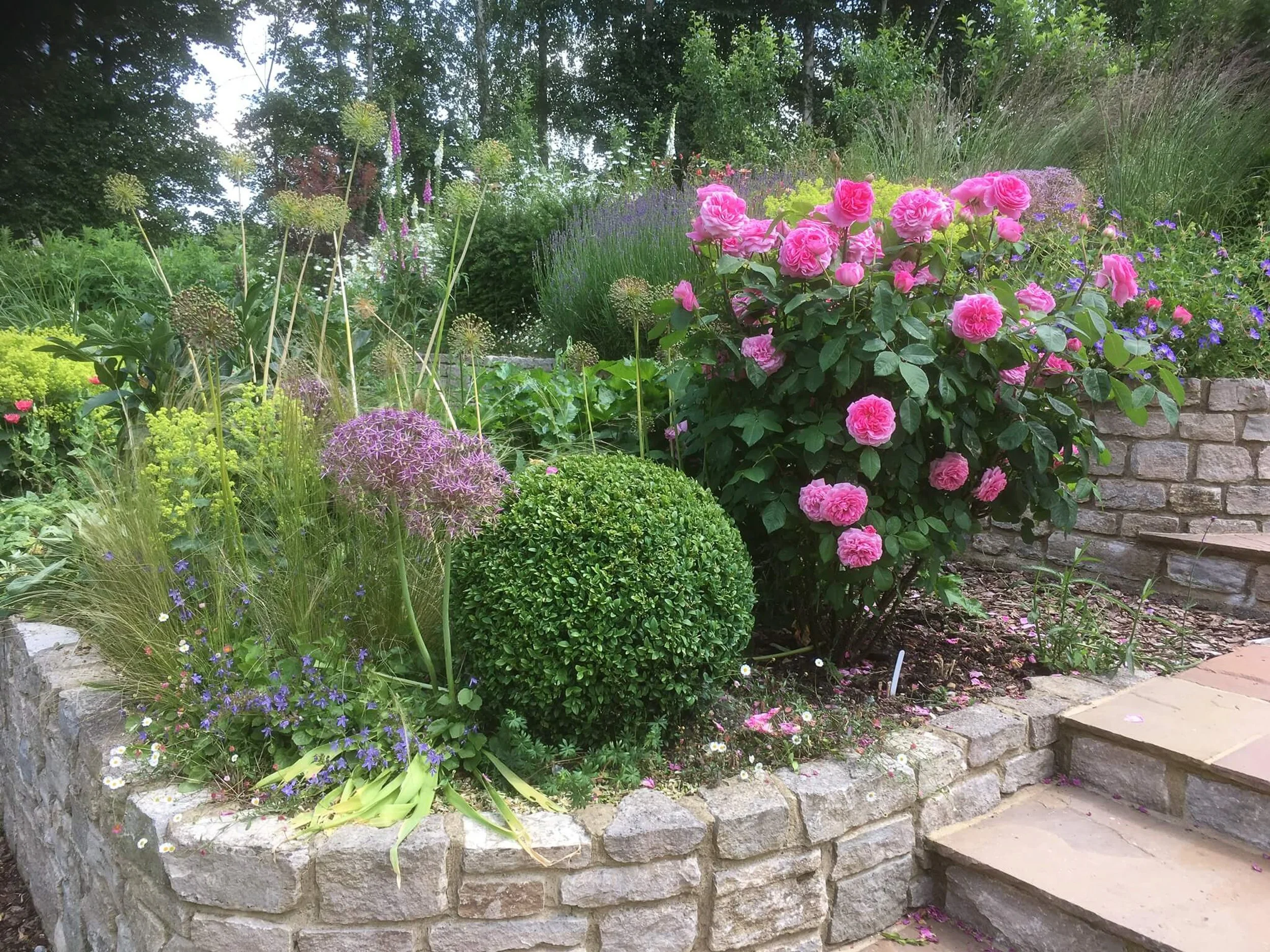 Naturalistic Planting Design — HerOutdoorz - Garden Designer and Nature ...