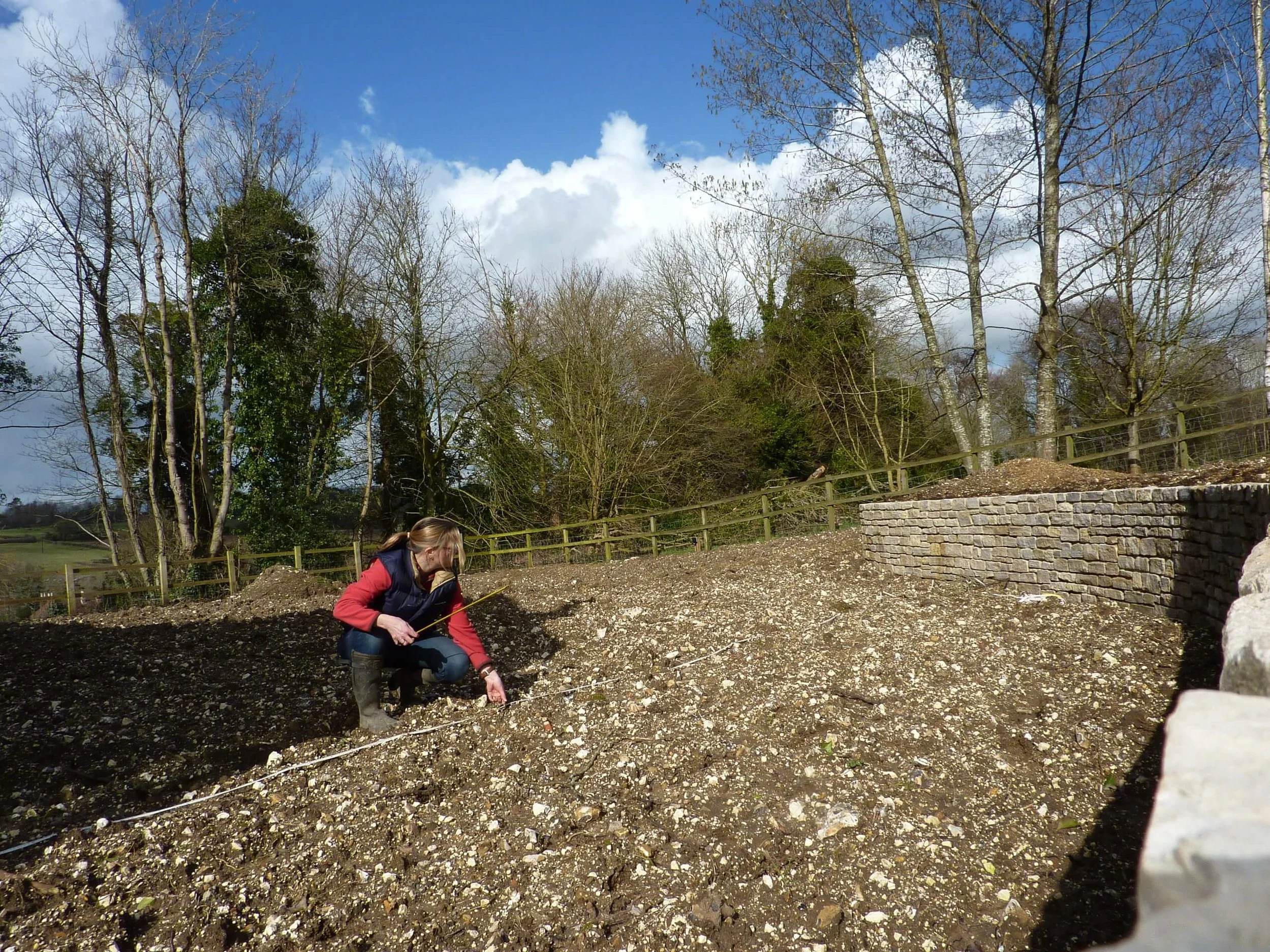 Naturalistic Planting Design — HerOutdoorz - Garden Designer and Nature ...